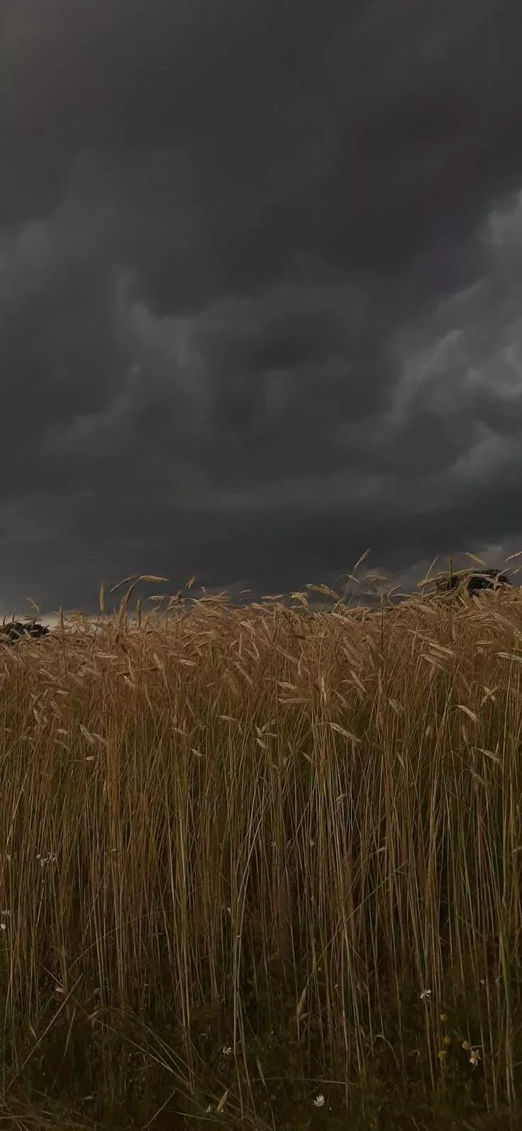 Weather iPhone Wallpapers - Wallpaper Cave