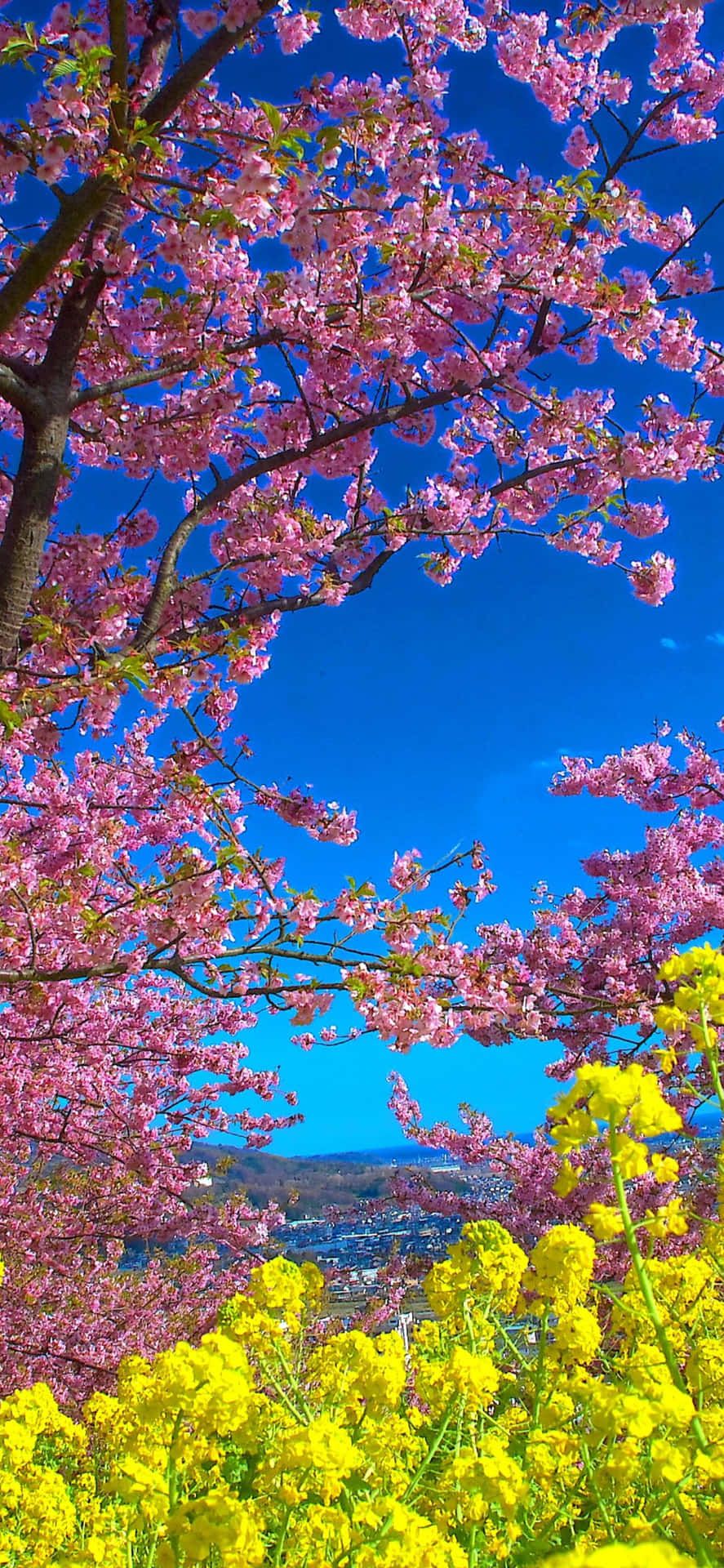 Spring Pixel Art Phone Wallpapers - Wallpaper Cave