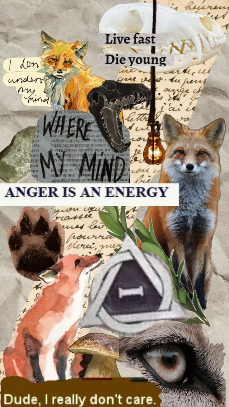 Fox Therian Mask Wallpapers - Wallpaper Cave