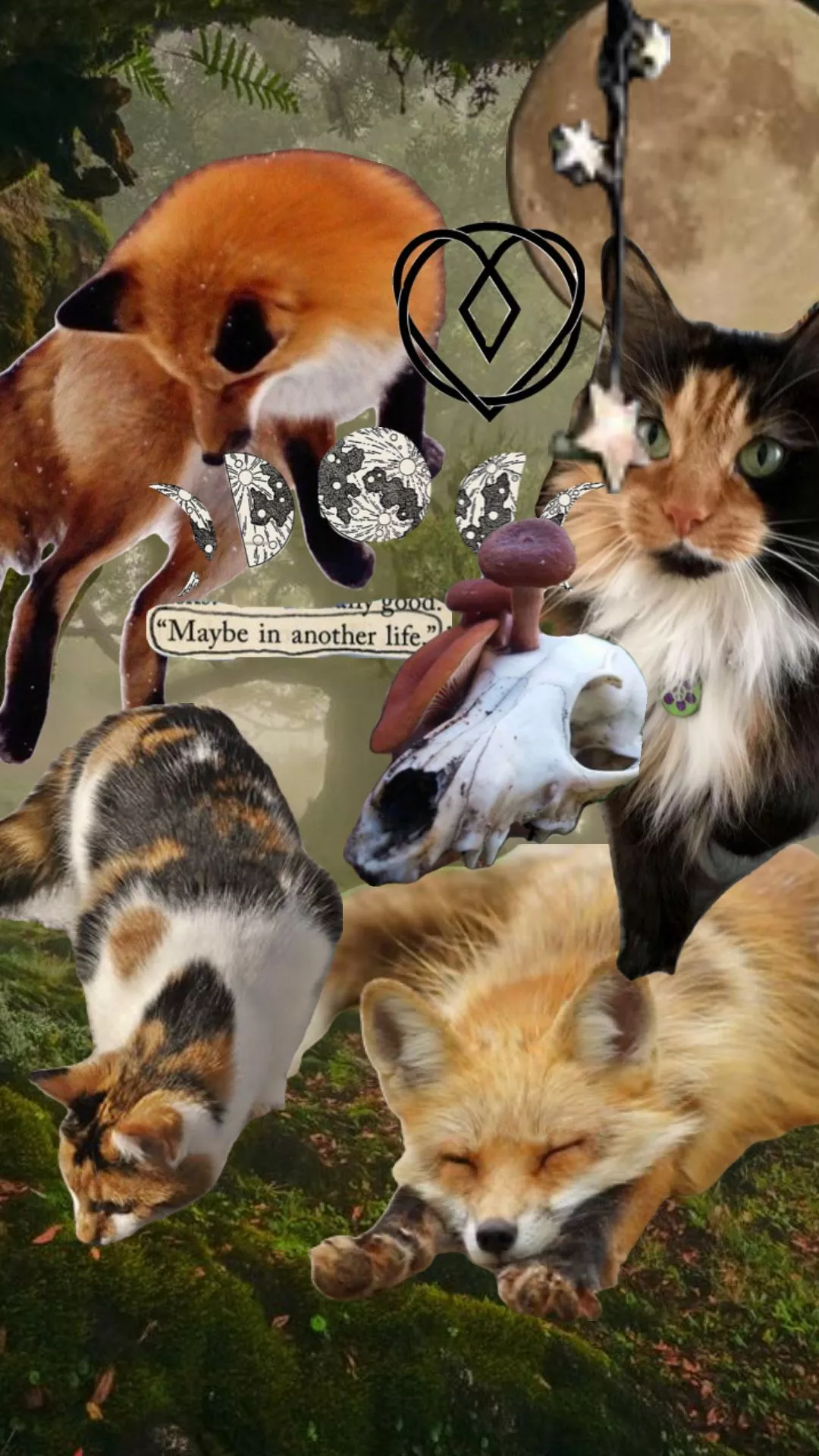 Fox Therian Mask Wallpapers - Wallpaper Cave