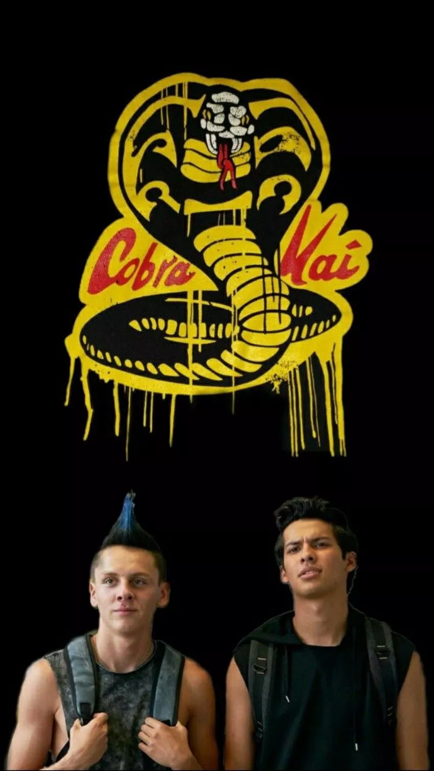 Hawk Cobra Kai iPhone Wallpapers - Wallpaper Cave