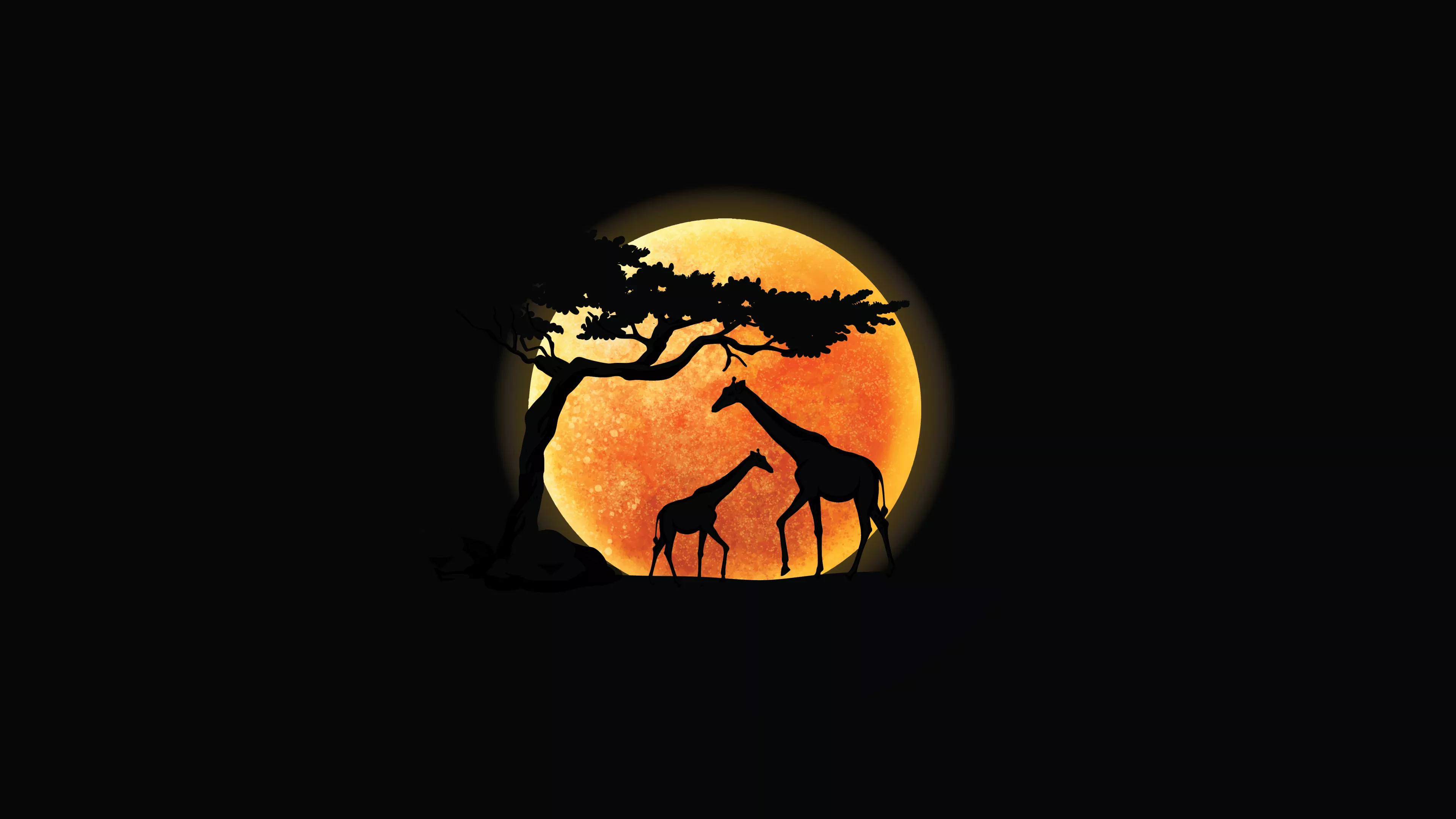 Giraffes 4k Wallpapers - Wallpaper Cave