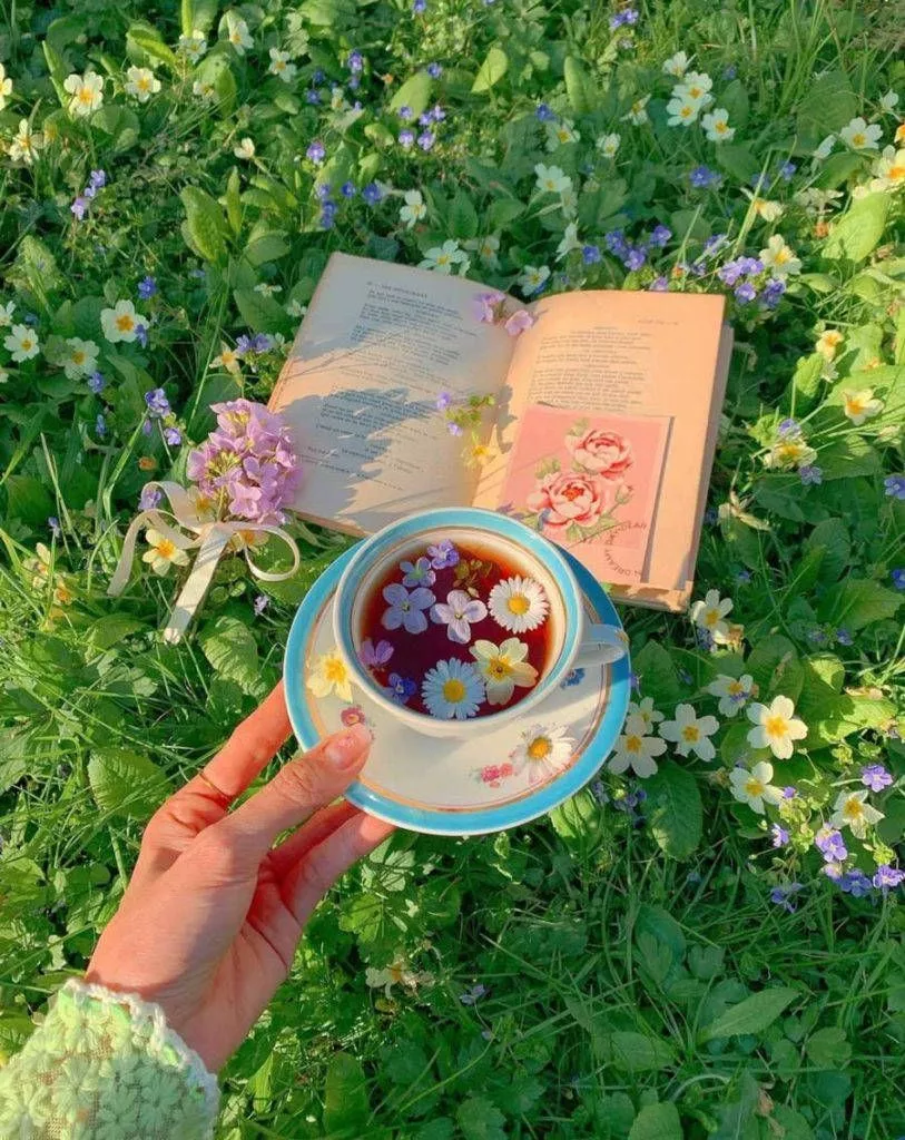 iPhone Garden Wallpapers - Wallpaper Cave