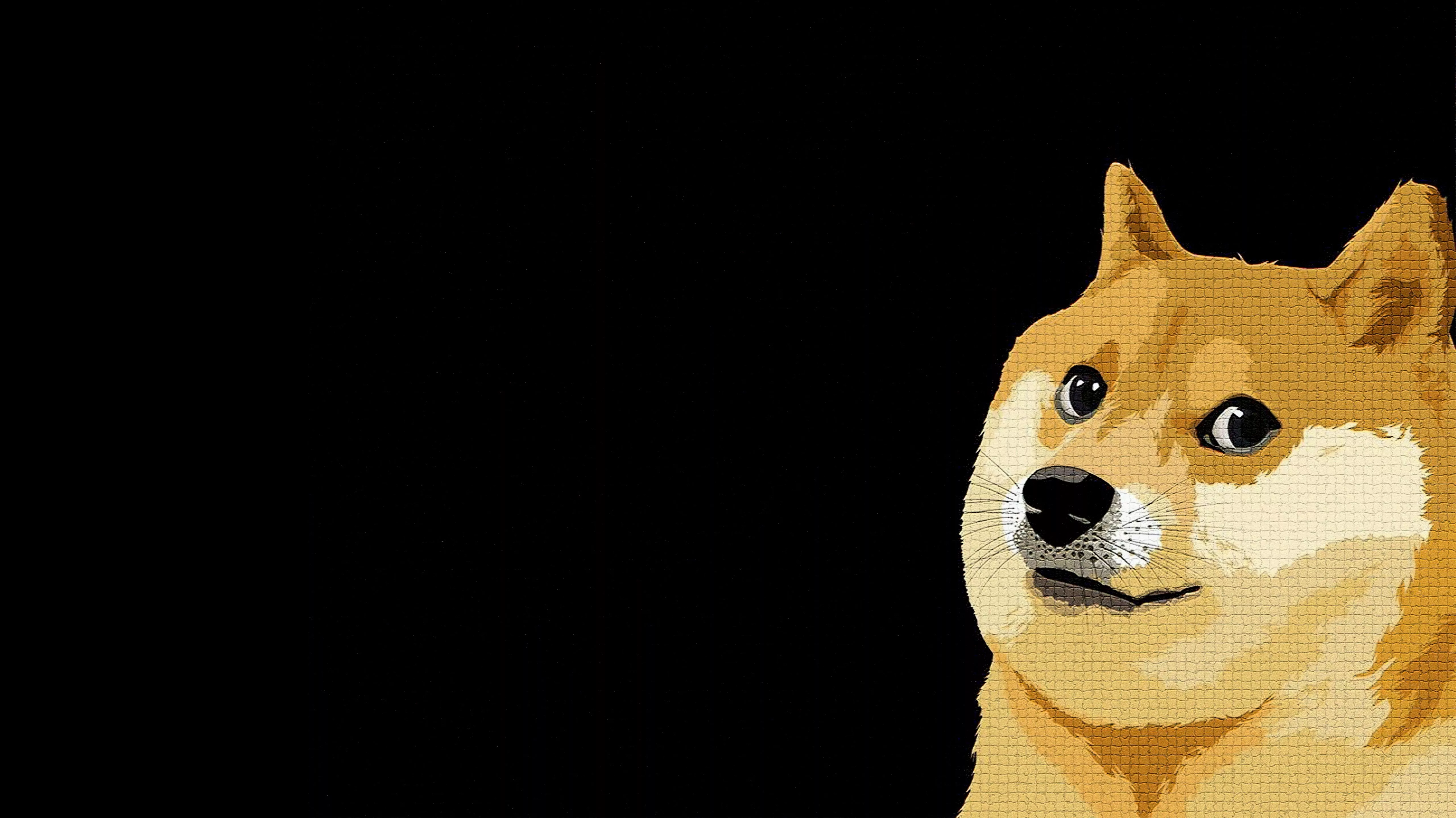 Shiba Inu Wallpapers - Wallpaper Cave