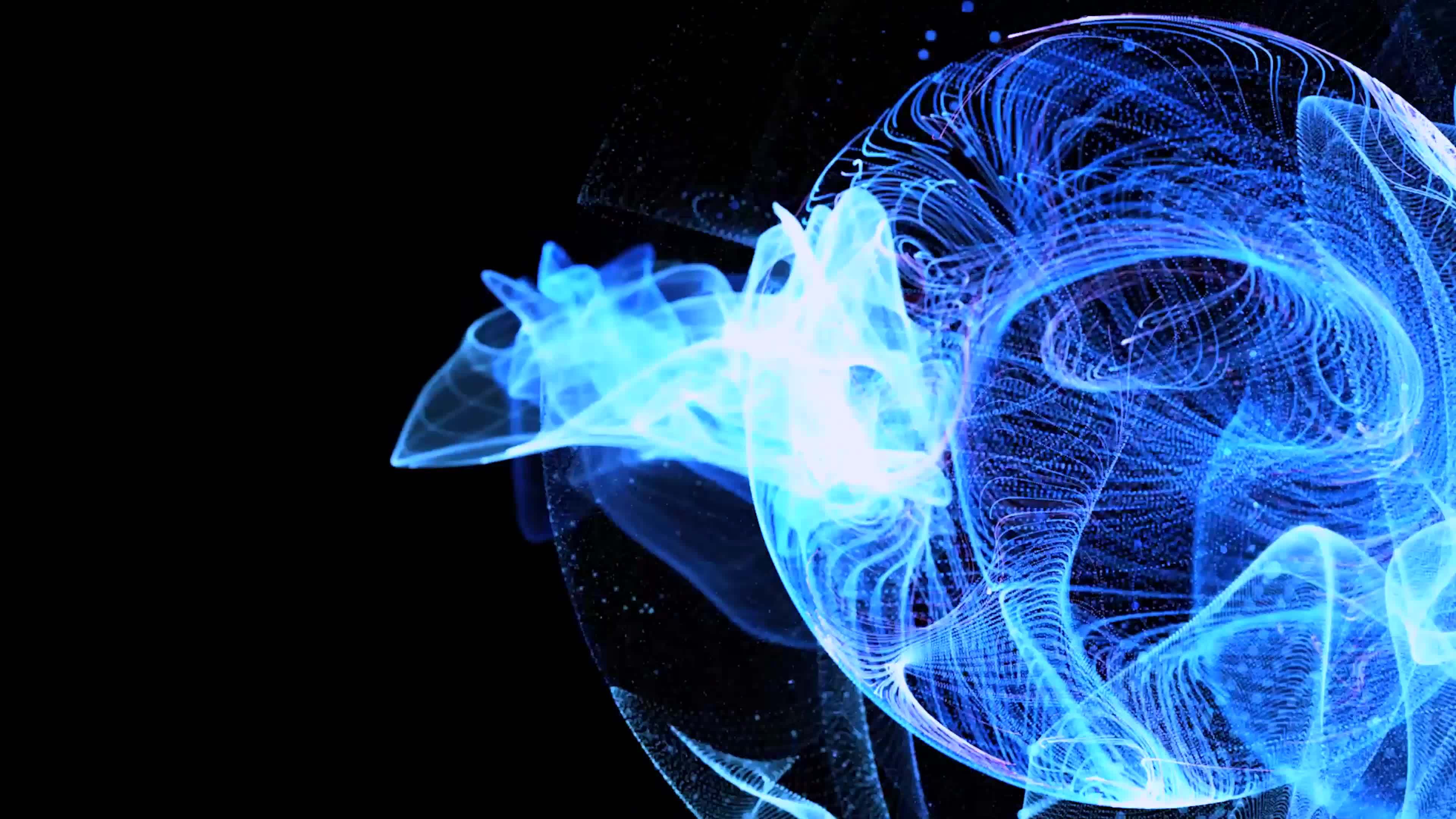 Neutron Star 4k Wallpapers - Wallpaper Cave