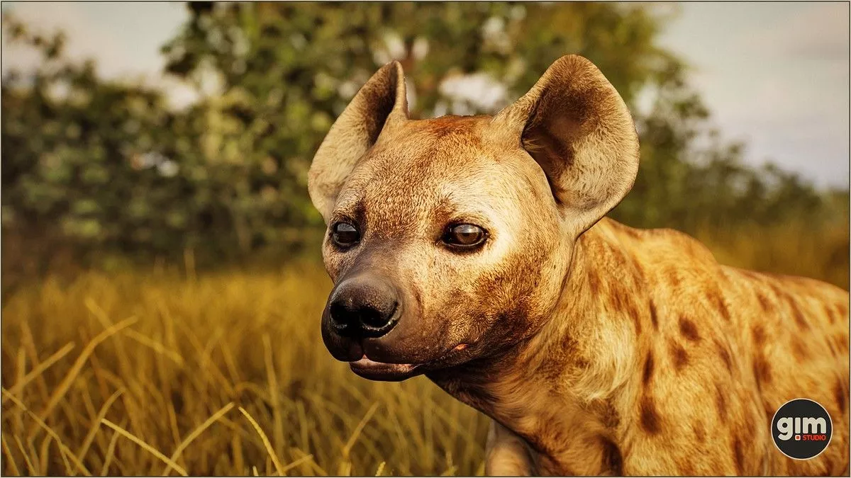 Hyena Wallpapers - Wallpaper Cave