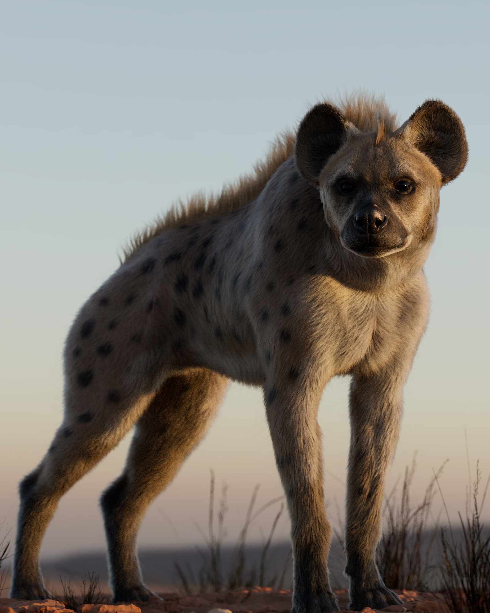 Hyena Wallpapers - Wallpaper Cave