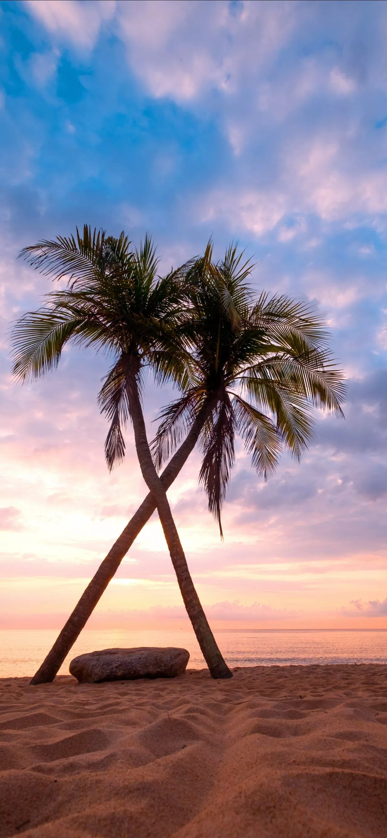 Exotic iPhone Wallpapers - Wallpaper Cave