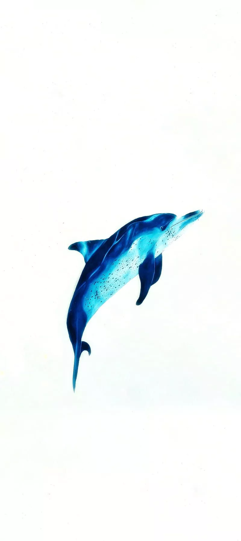 iPhone Dolphin Wallpapers - Wallpaper Cave