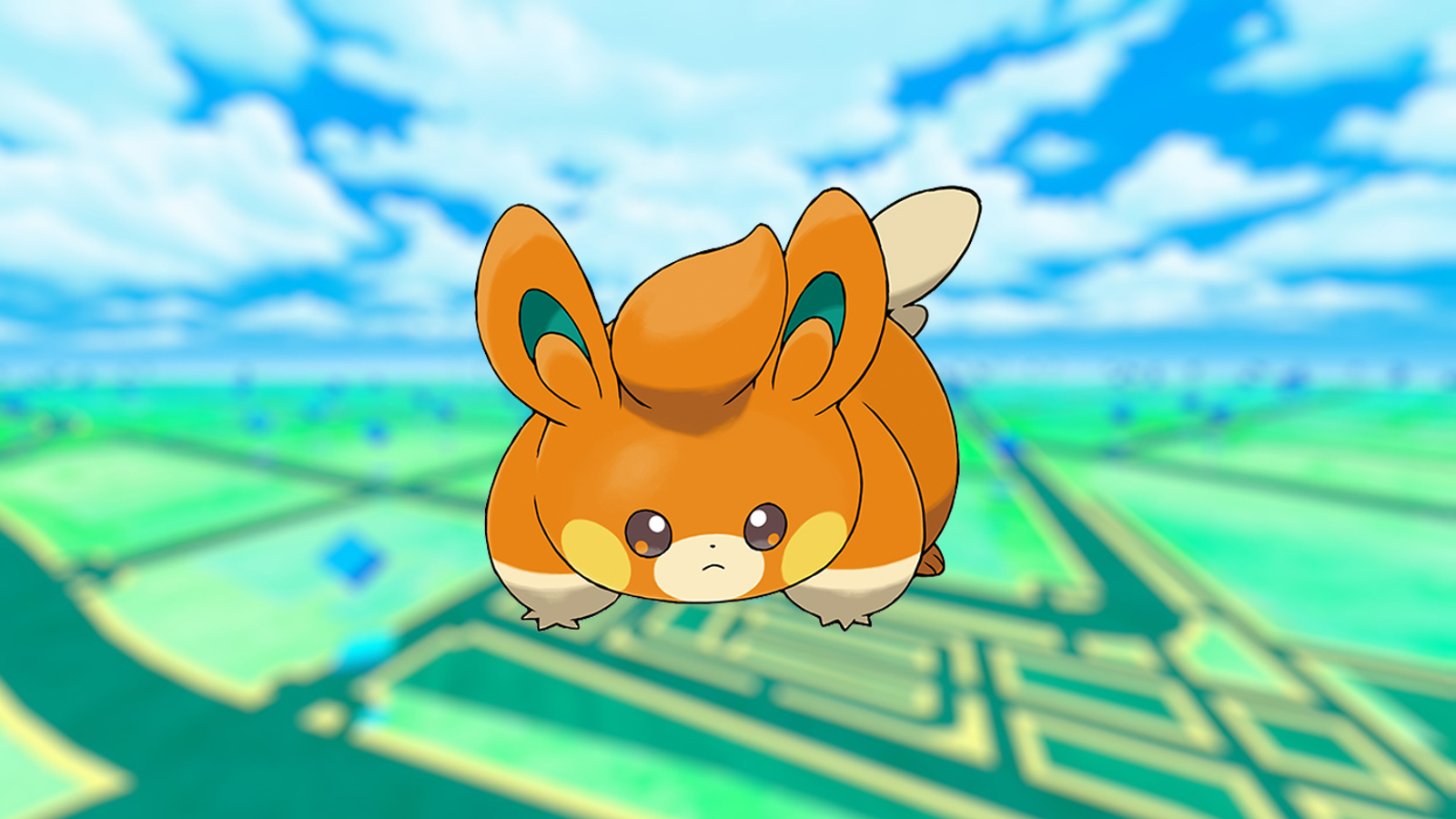 Pawmi Wallpapers - Wallpaper Cave