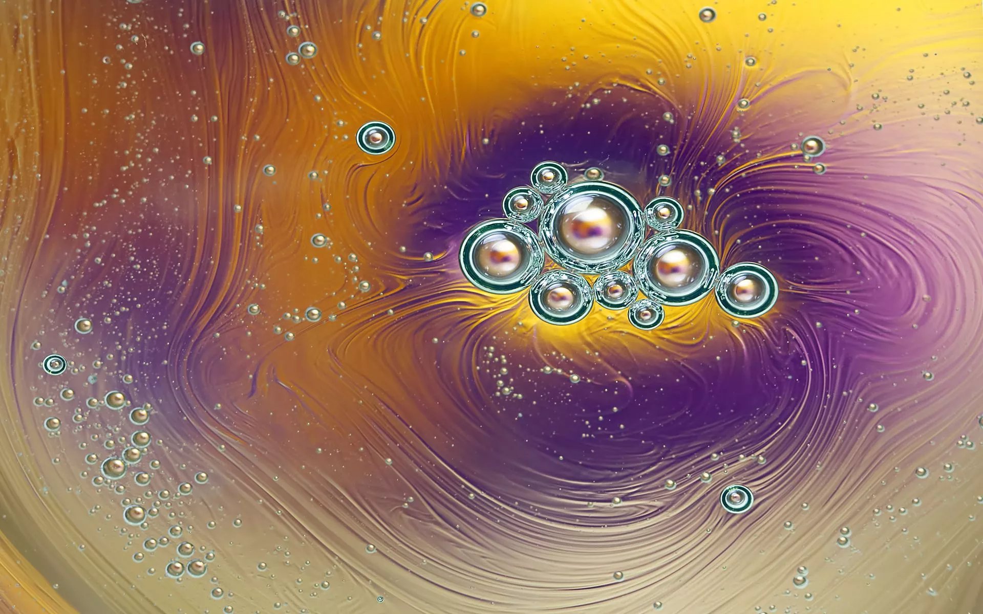 Micro World Wallpapers - Wallpaper Cave