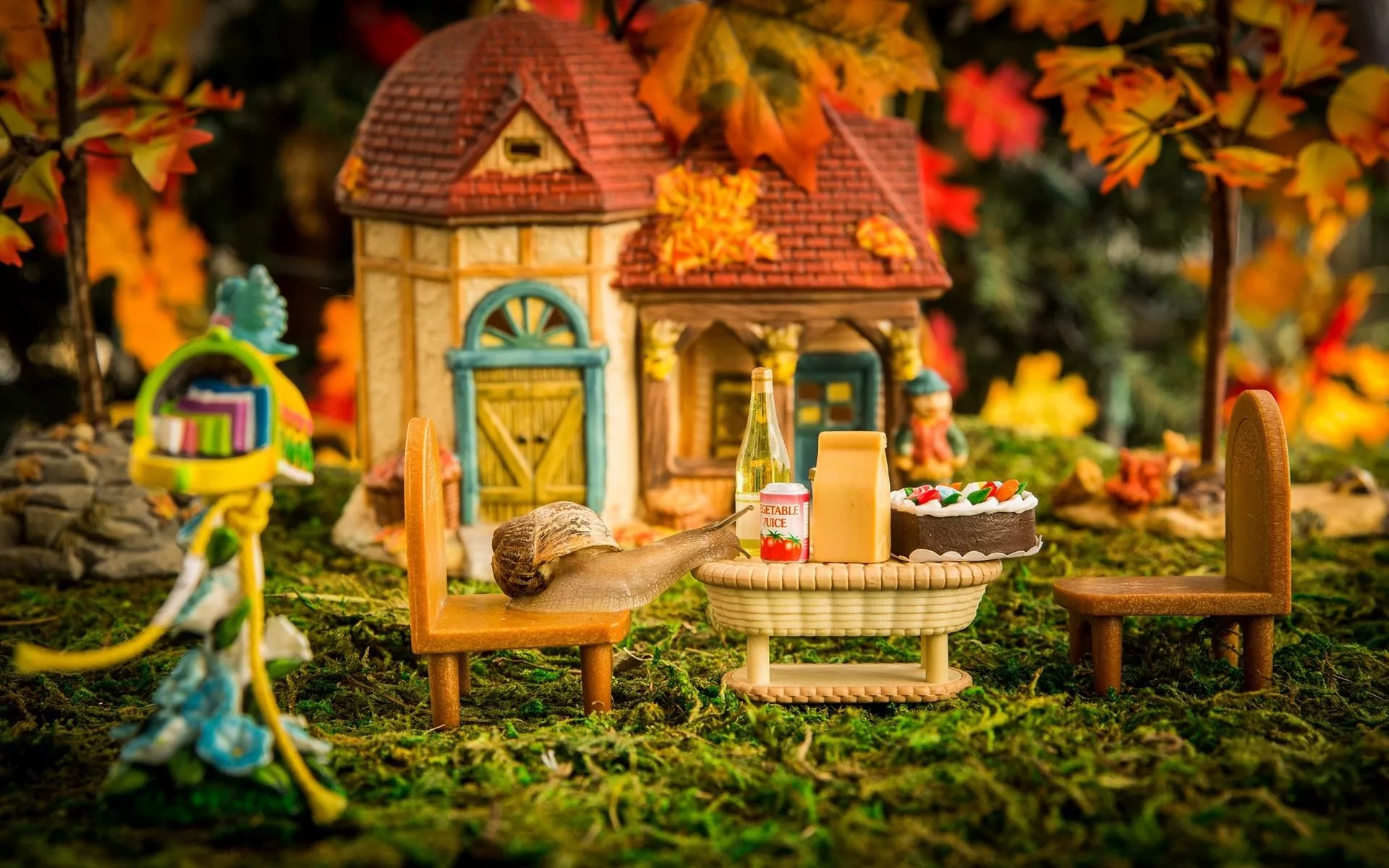 Micro World Wallpapers - Wallpaper Cave