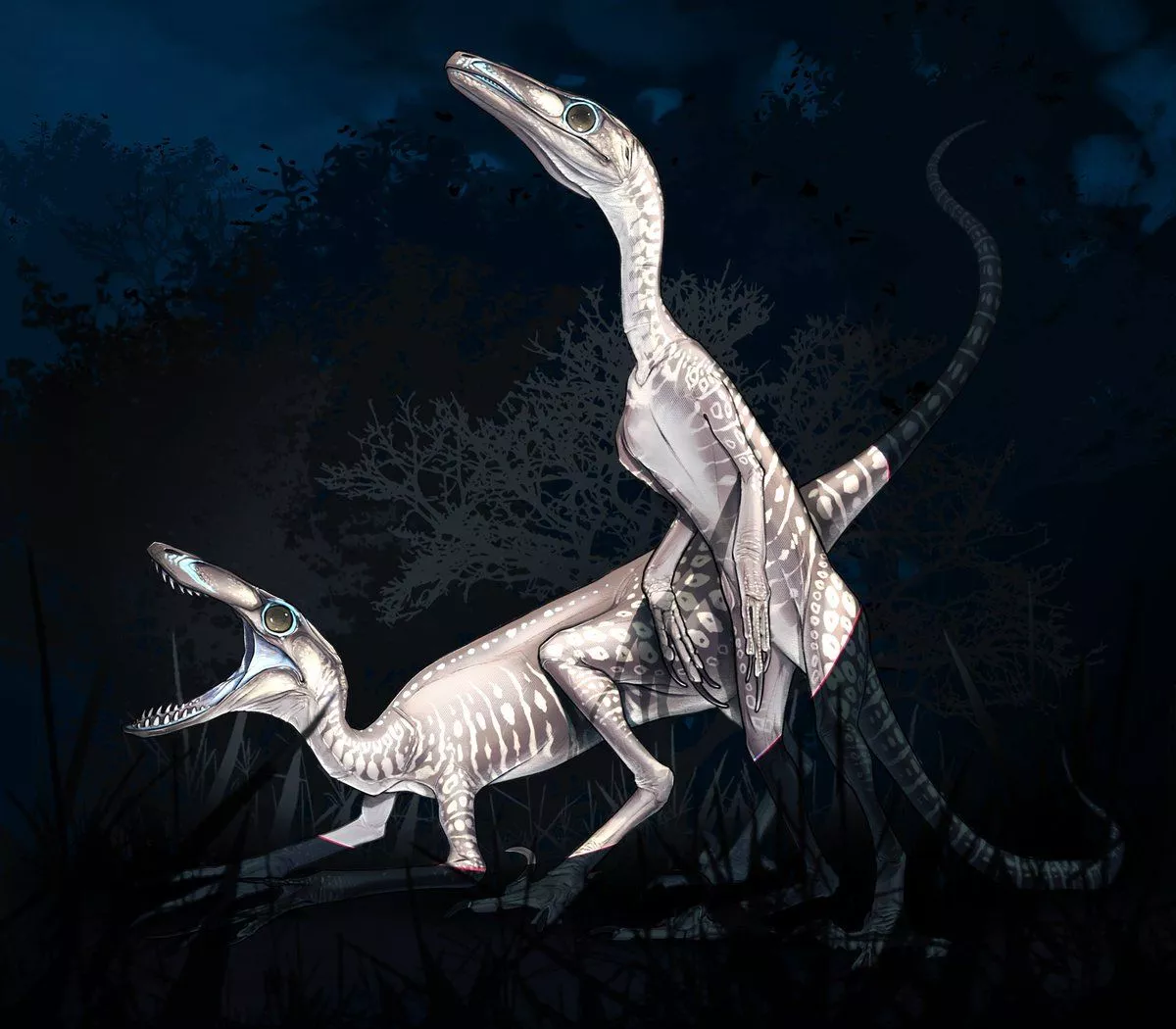 Troodon Wallpapers - Wallpaper Cave