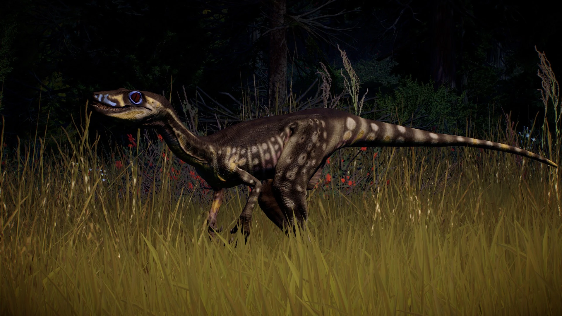 Troodon Wallpapers - Wallpaper Cave