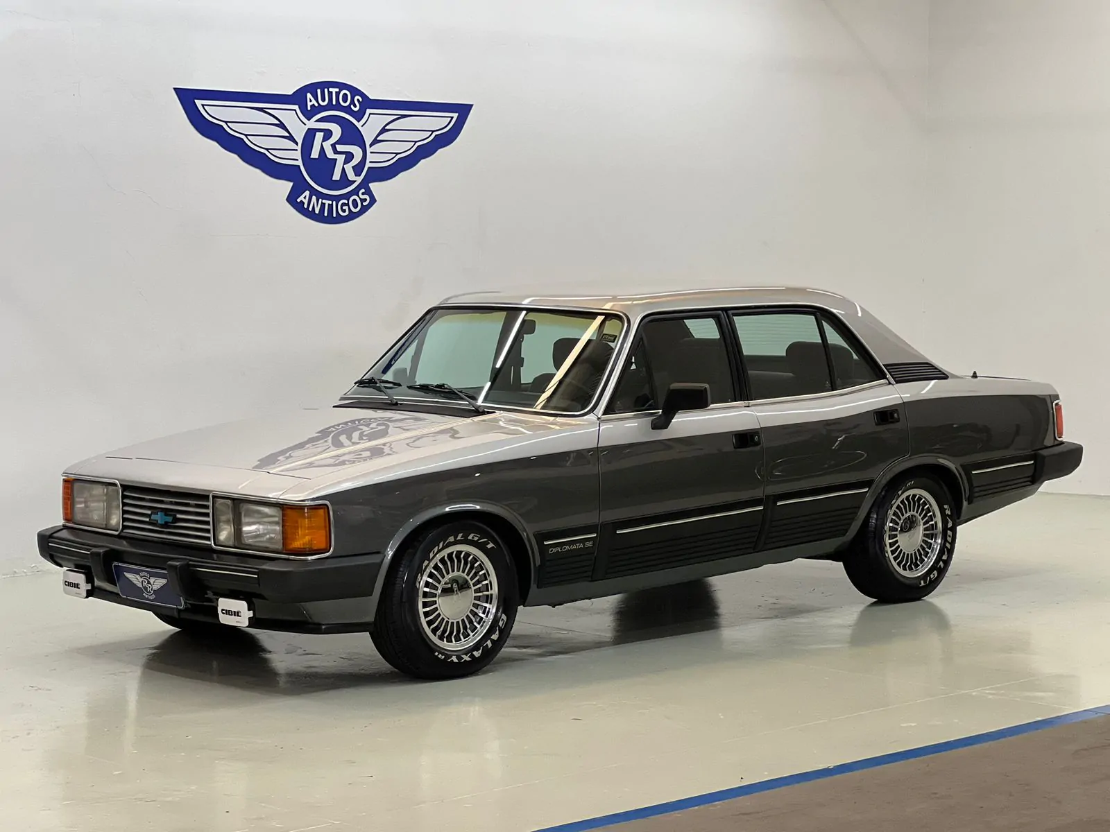 Opala Diplomata Wallpapers - Wallpaper Cave