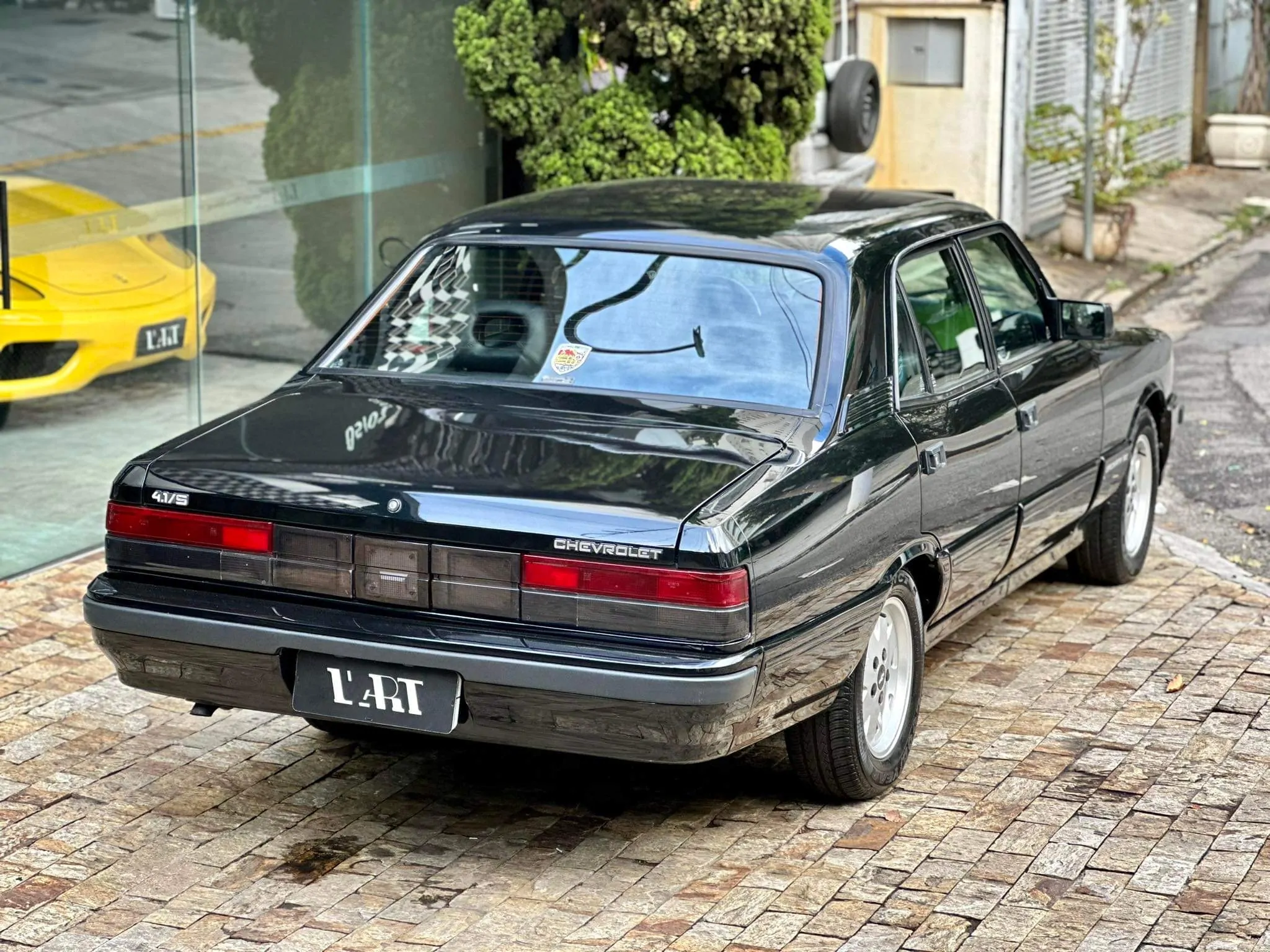 Opala Diplomata Wallpapers - Wallpaper Cave