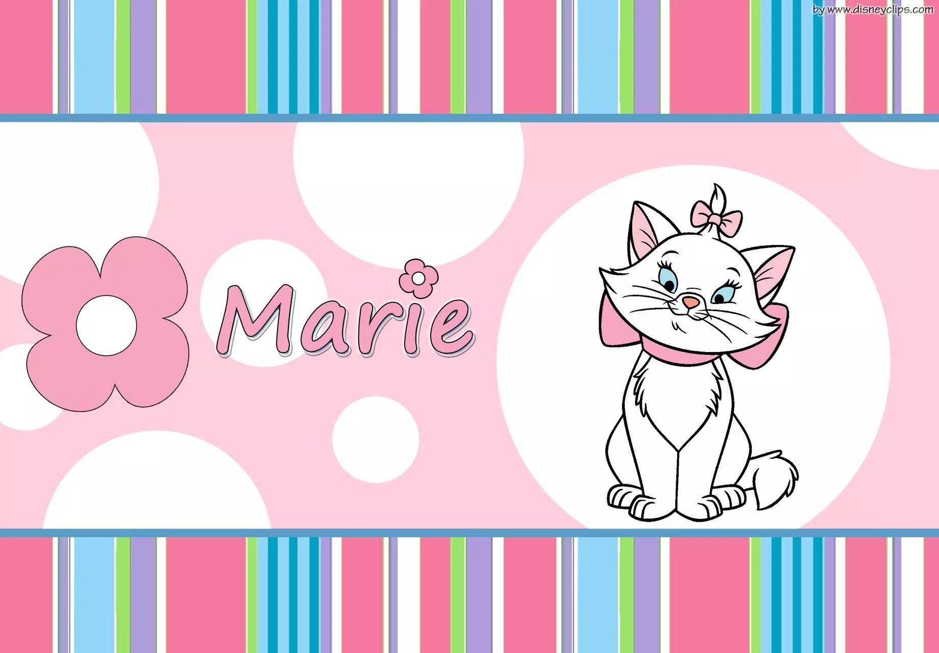 Marie The Cat Wallpapers - Wallpaper Cave