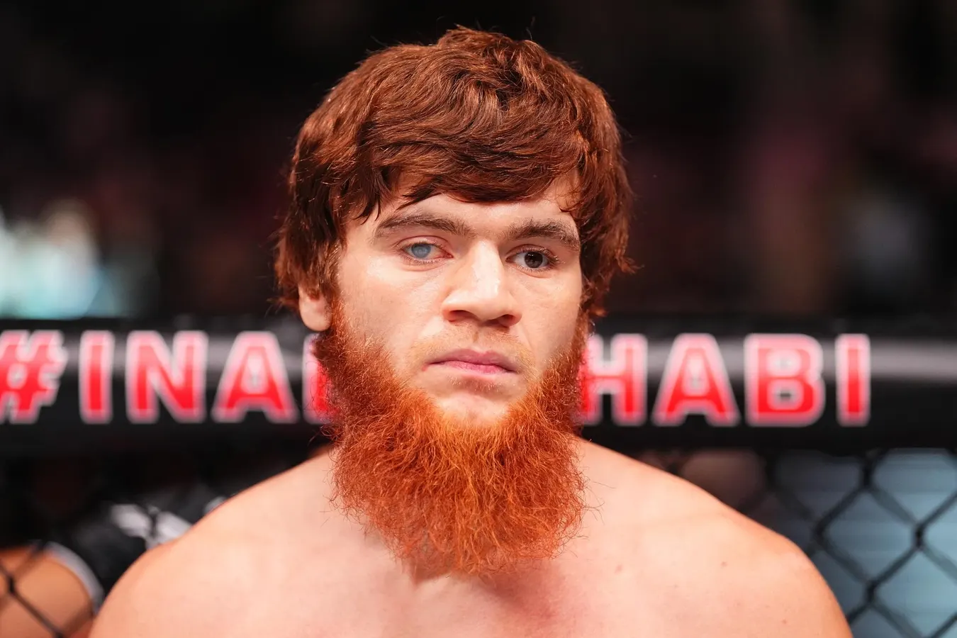 Sharaputdin Magomedov Wallpapers - Wallpaper Cave