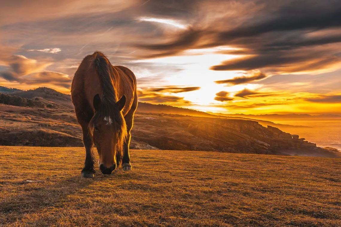 Basque Country Wallpapers - Wallpaper Cave