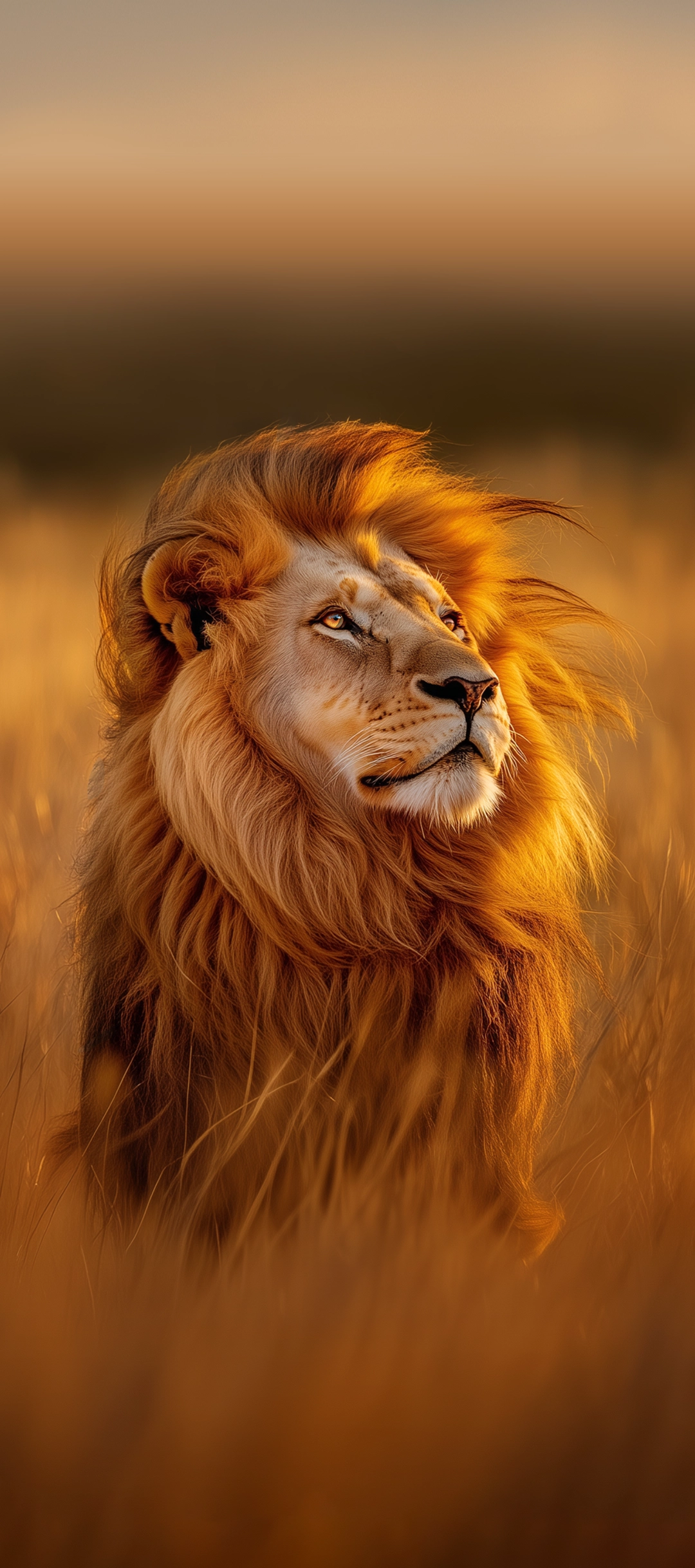 Infinix Note 50 Pro Wallpapers - Wallpaper Cave