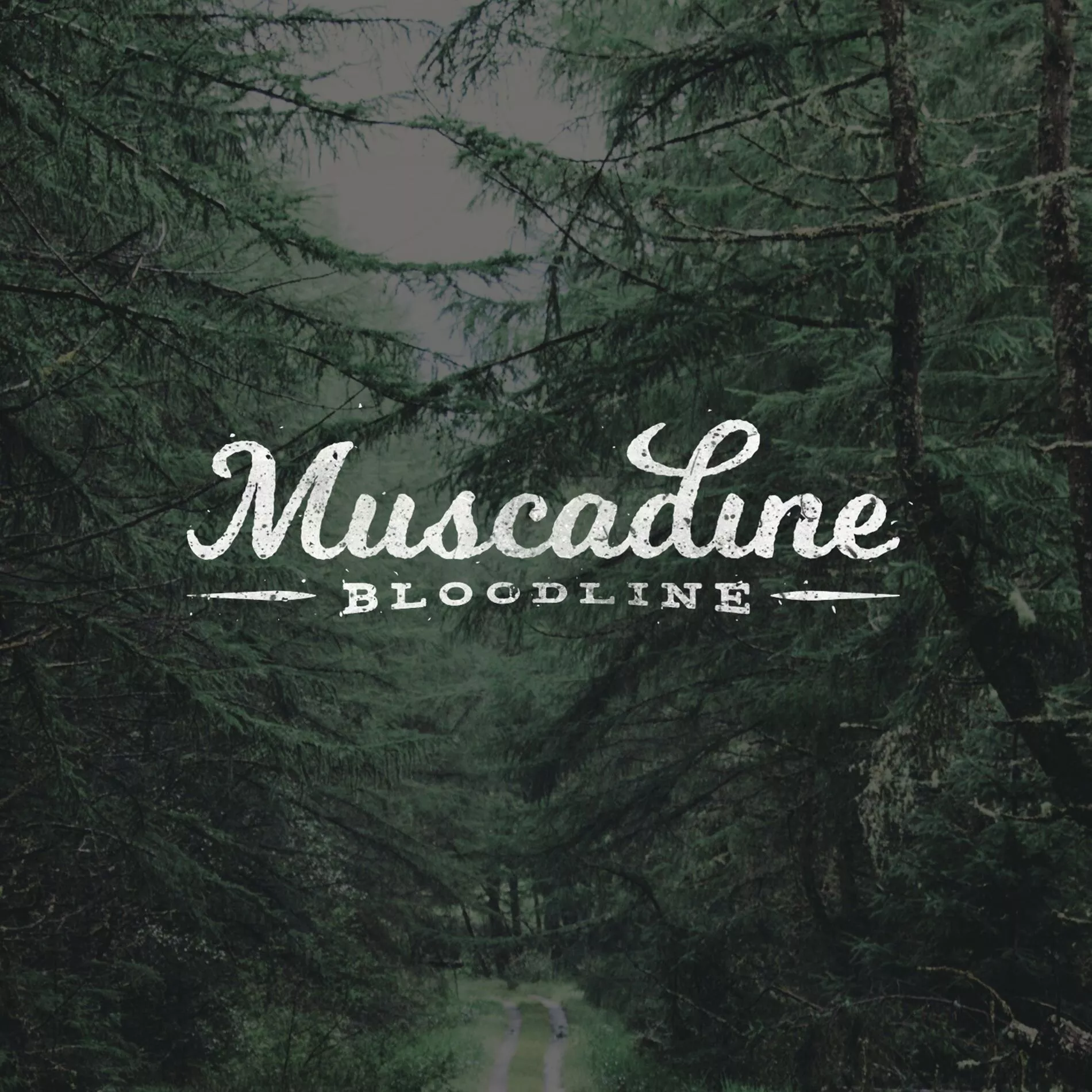 Muscadine Bloodline Wallpapers - Wallpaper Cave