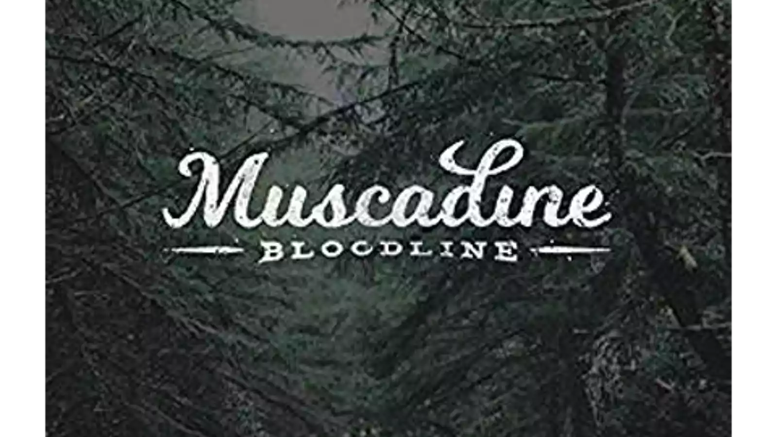 Muscadine Bloodline Wallpapers - Wallpaper Cave