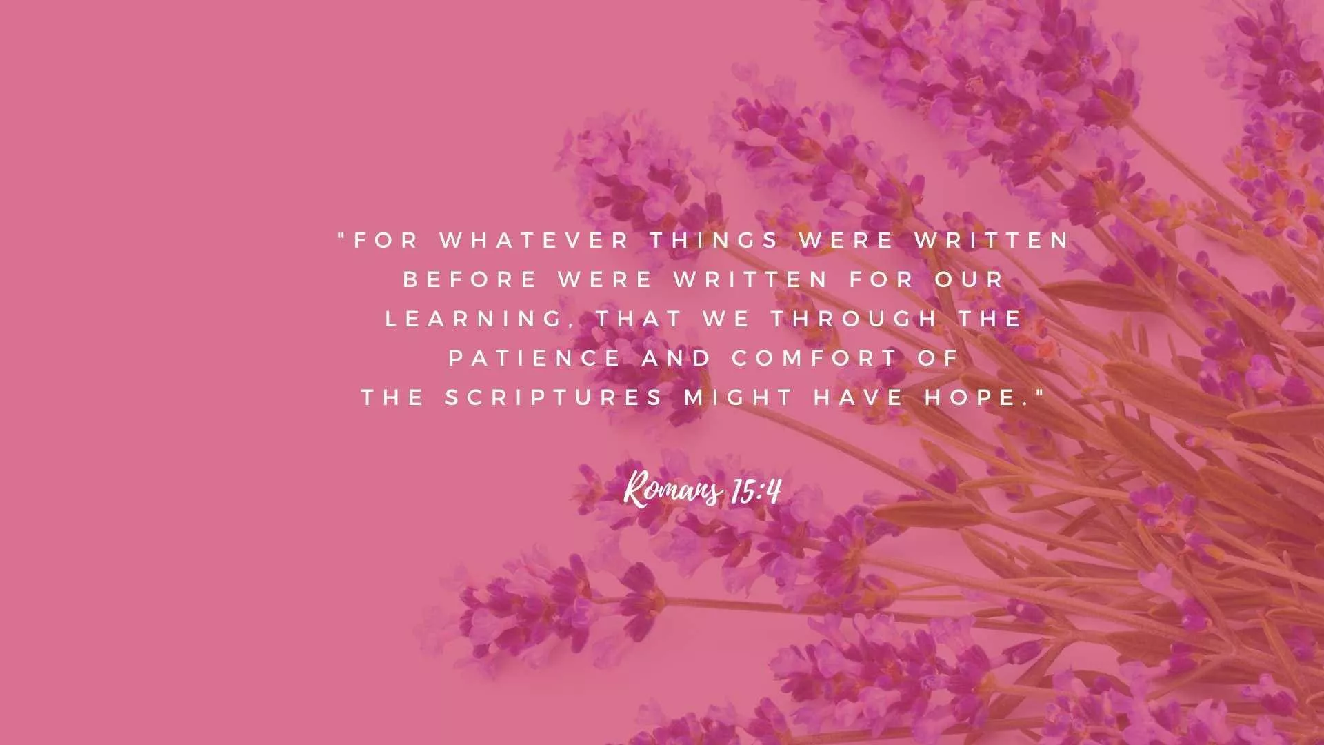 Pink Bible Verse Laptop Wallpapers - Wallpaper Cave