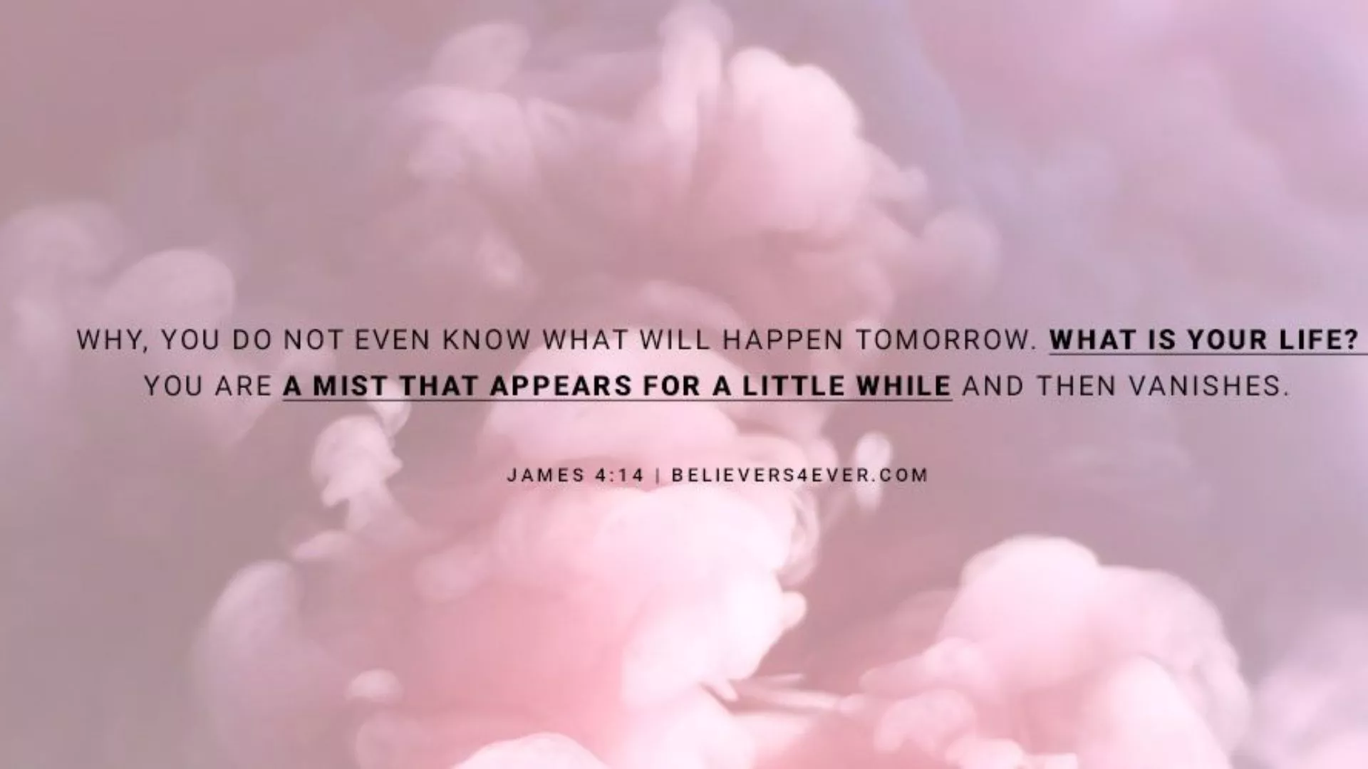 Pink Bible Verse Laptop Wallpapers - Wallpaper Cave