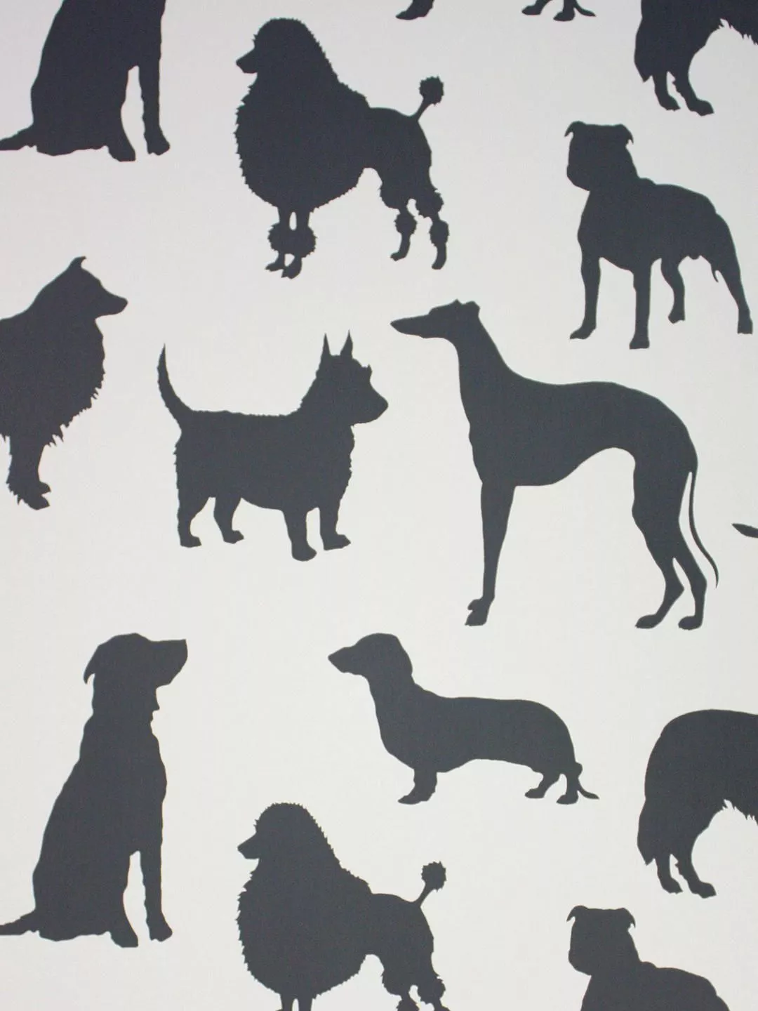 Minimal Dog Wallpapers - Wallpaper Cave