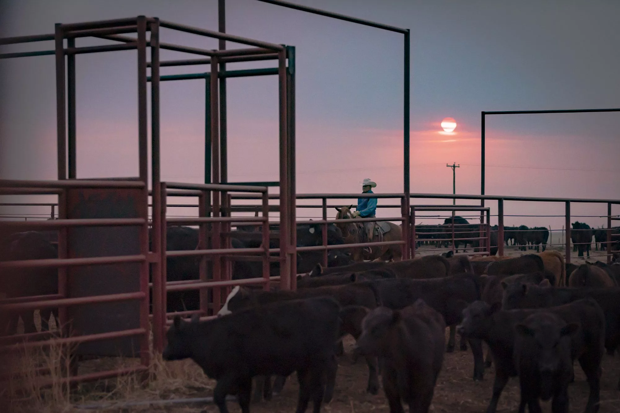 Cattle Ranch Wallpapers - Wallpaper Cave