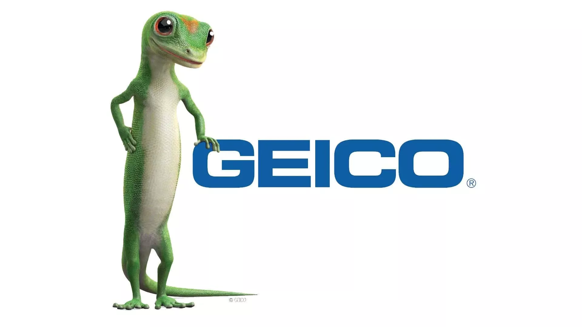 Geico Lizard Wallpapers - Wallpaper Cave