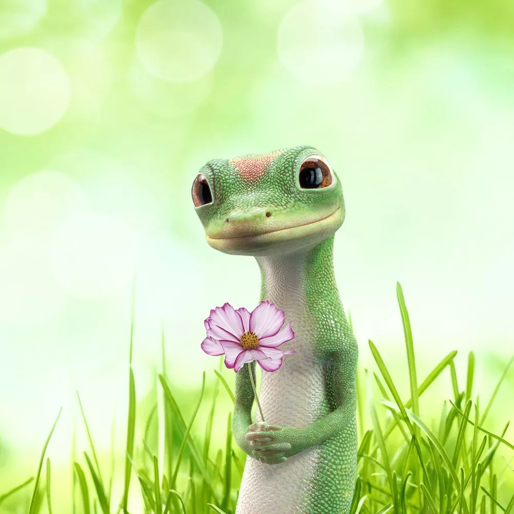 Geico Lizard Wallpapers - Wallpaper Cave