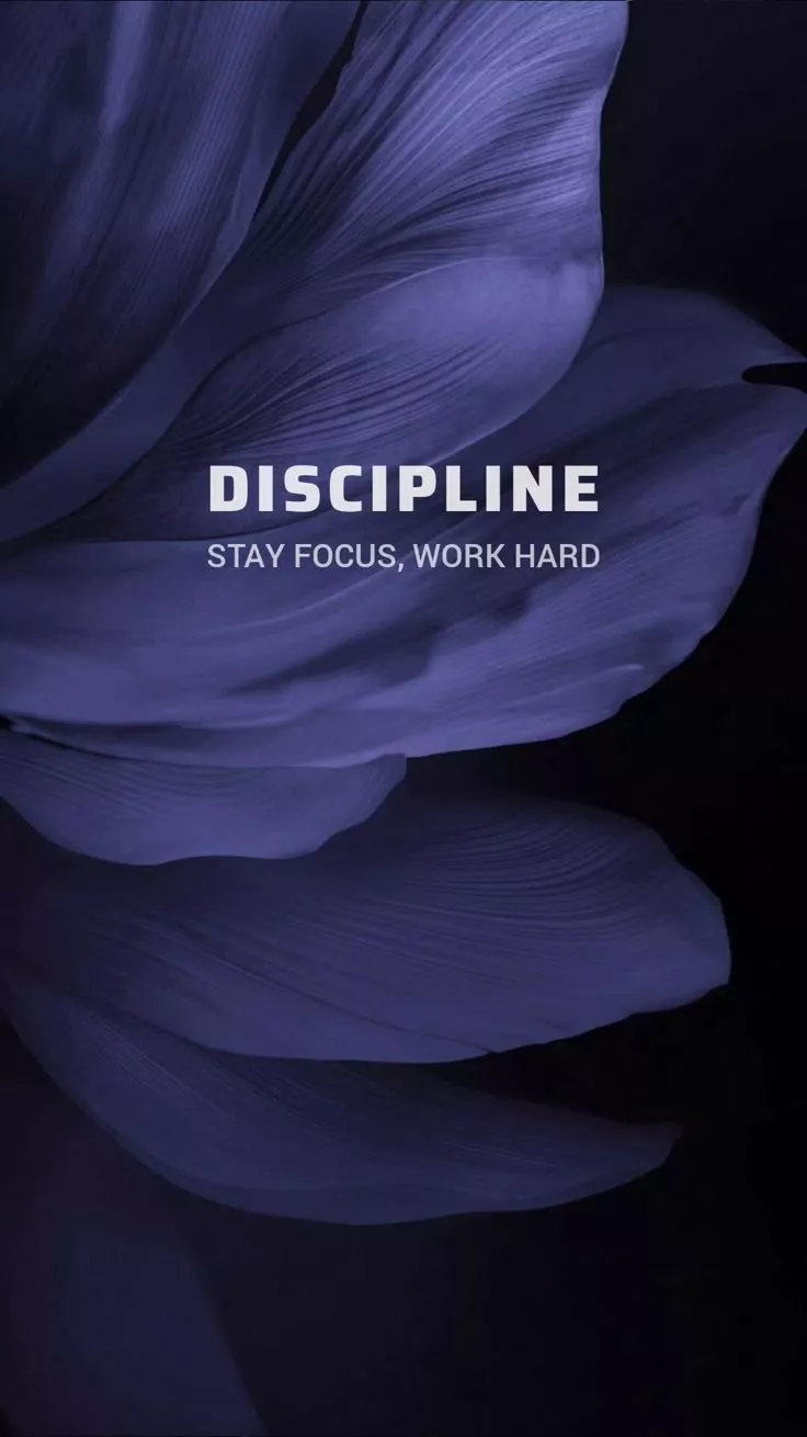 Winter Discipline Wallpapers - Wallpaper Cave