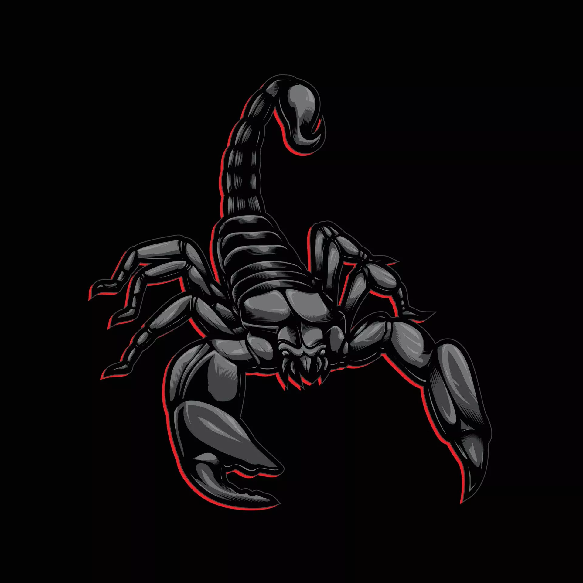 Scorpion Animal Wallpapers - Wallpaper Cave