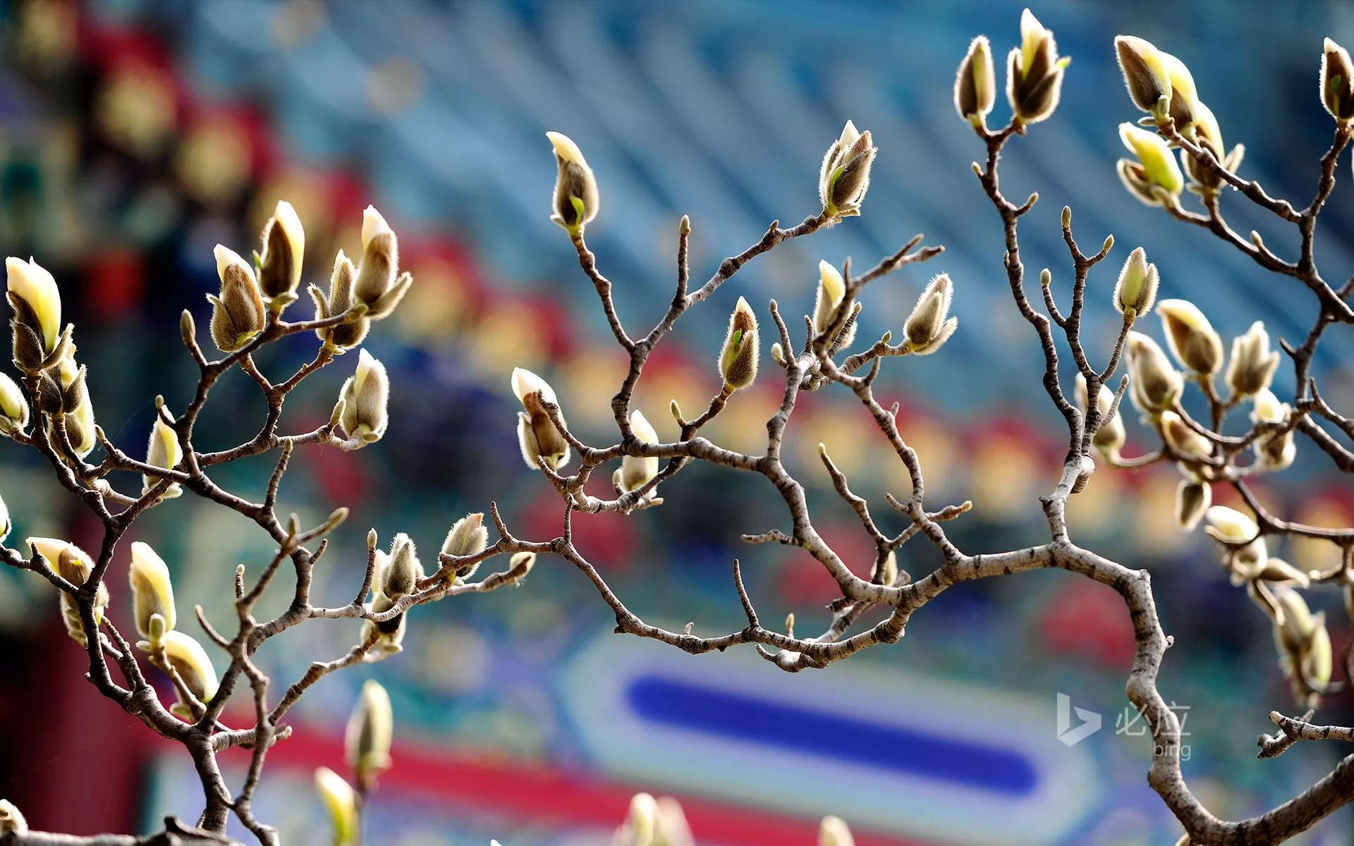 Spring Equinox Wallpapers - Wallpaper Cave