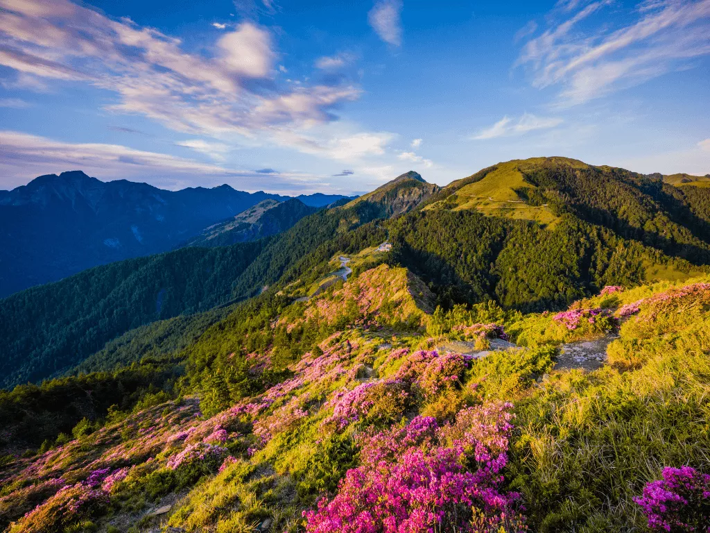 Spring Equinox Wallpapers - Wallpaper Cave