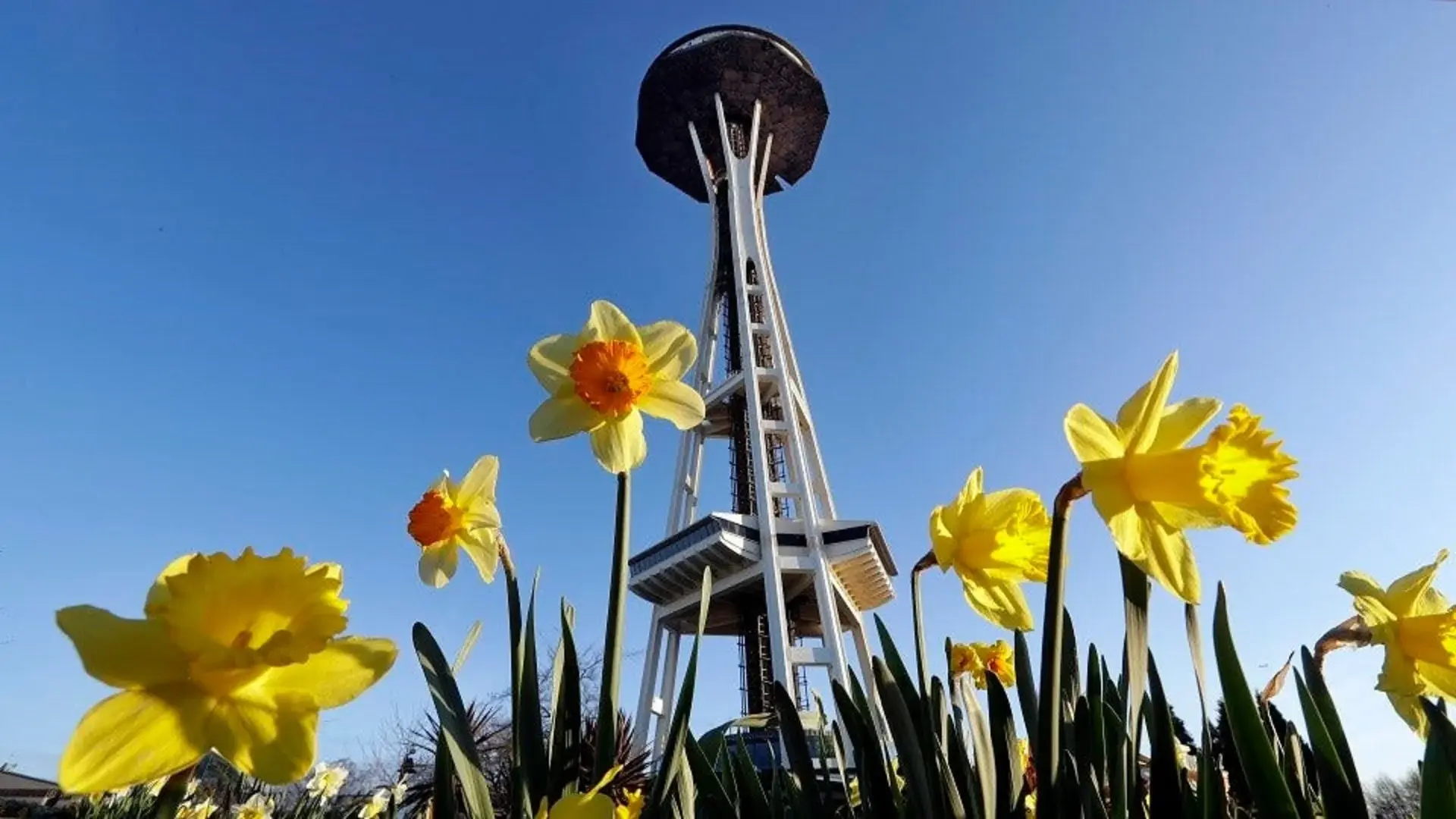 Spring Equinox Wallpapers - Wallpaper Cave