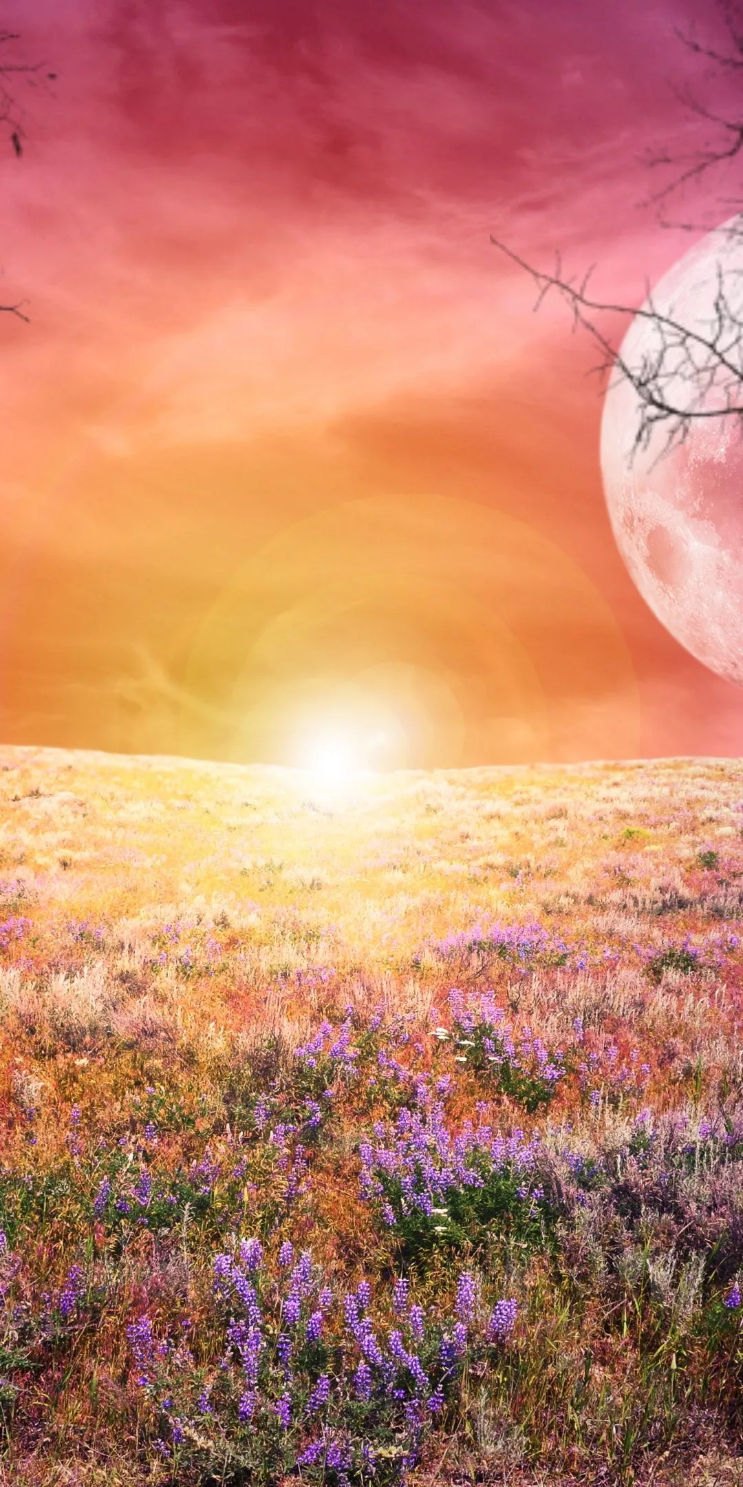 Spring Sunrise Vertical Wallpapers - Wallpaper Cave