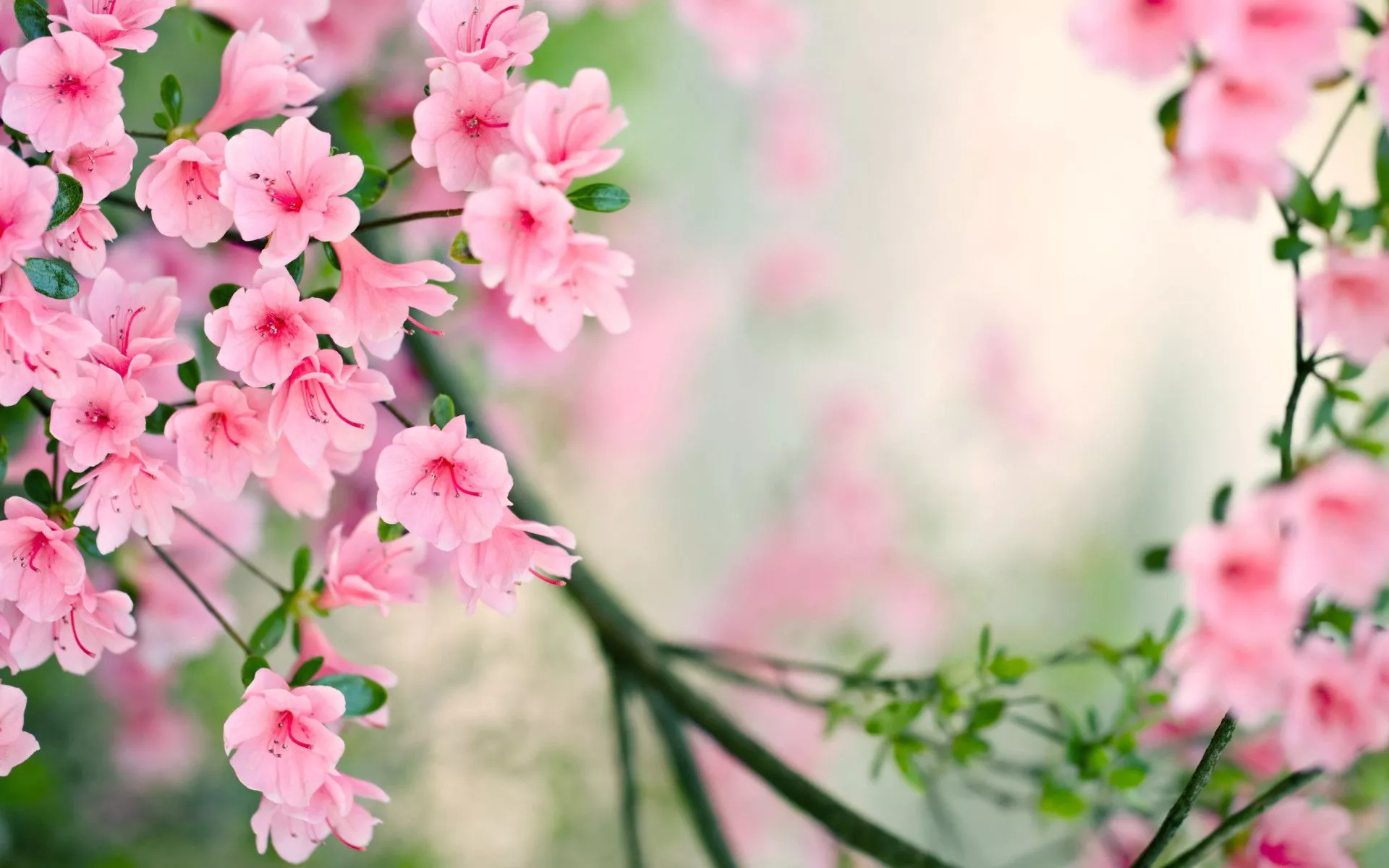 Spring Nature PC Wallpapers - Wallpaper Cave