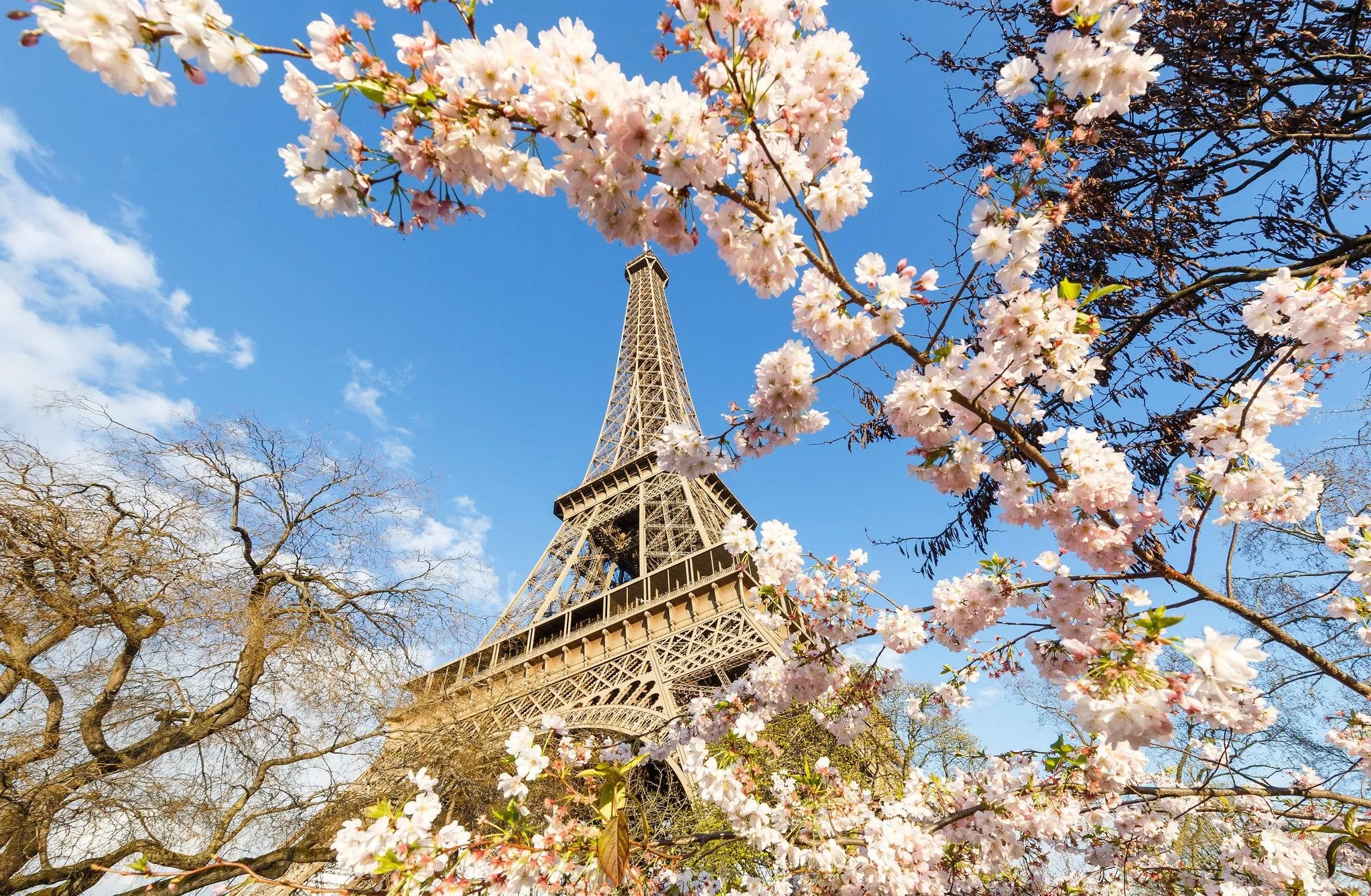 Eiffel Tower Spring Wallpapers - Wallpaper Cave