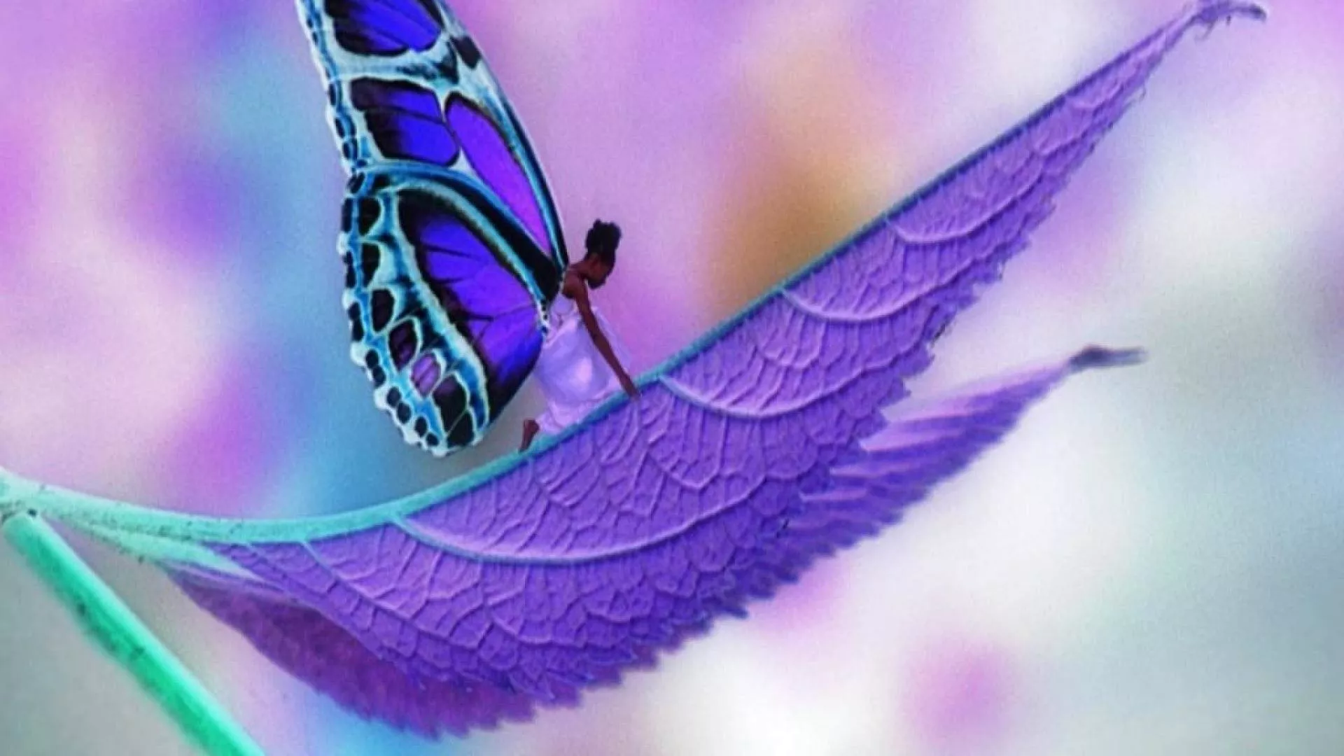 Purple Butterfly Desktop Wallpapers - Wallpaper Cave