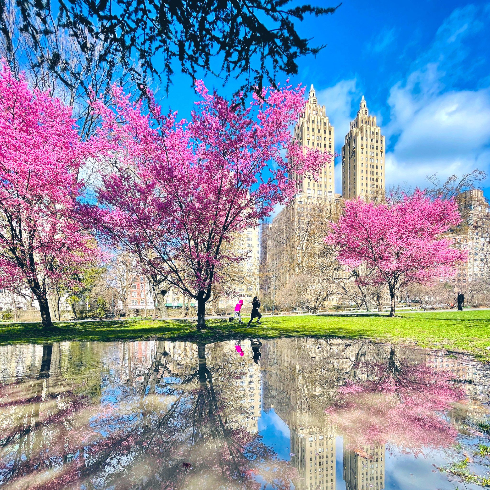 Central Park Spring Time Wallpapers - Wallpaper Cave