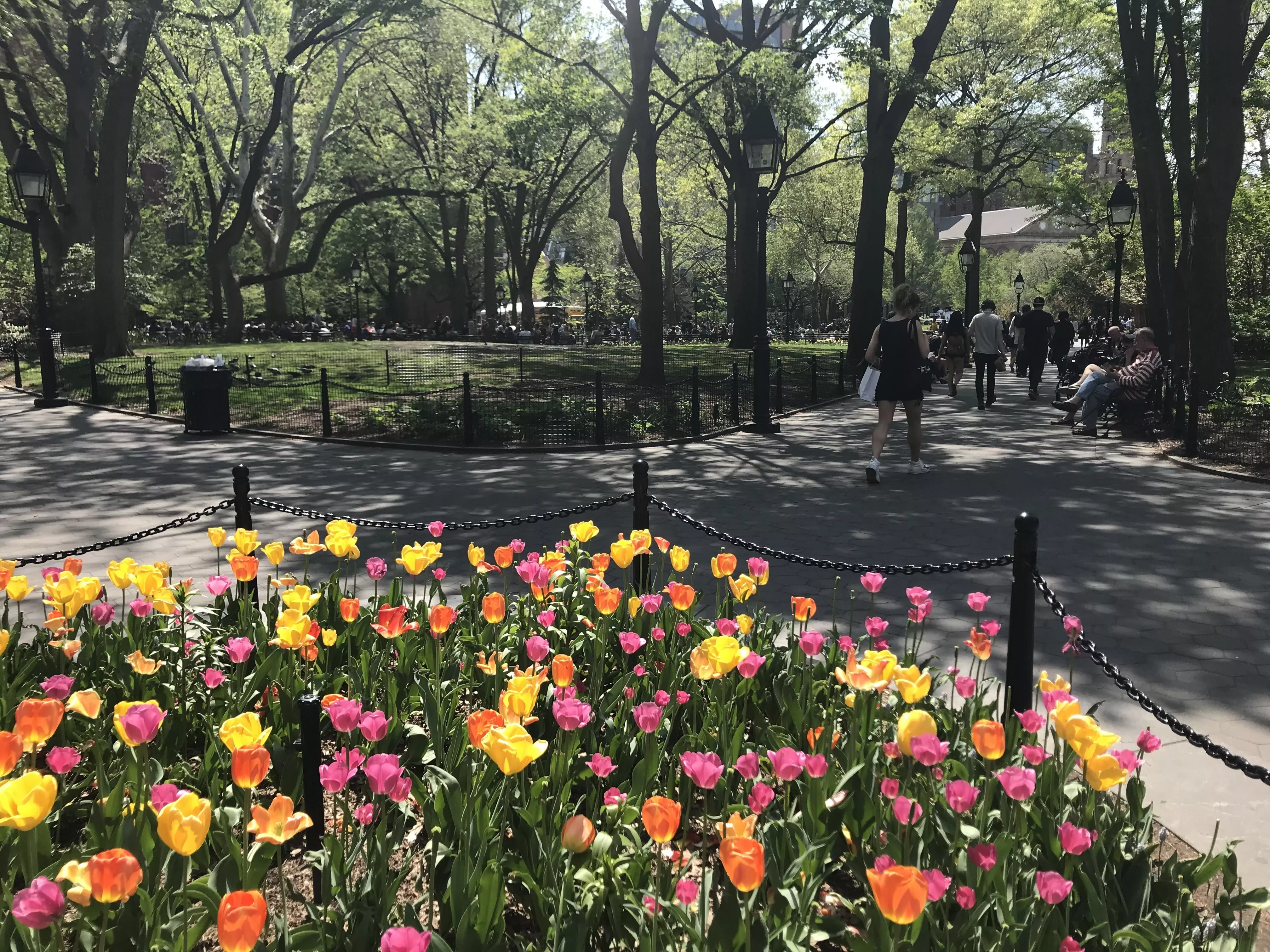 Central Park Spring Time Wallpapers - Wallpaper Cave