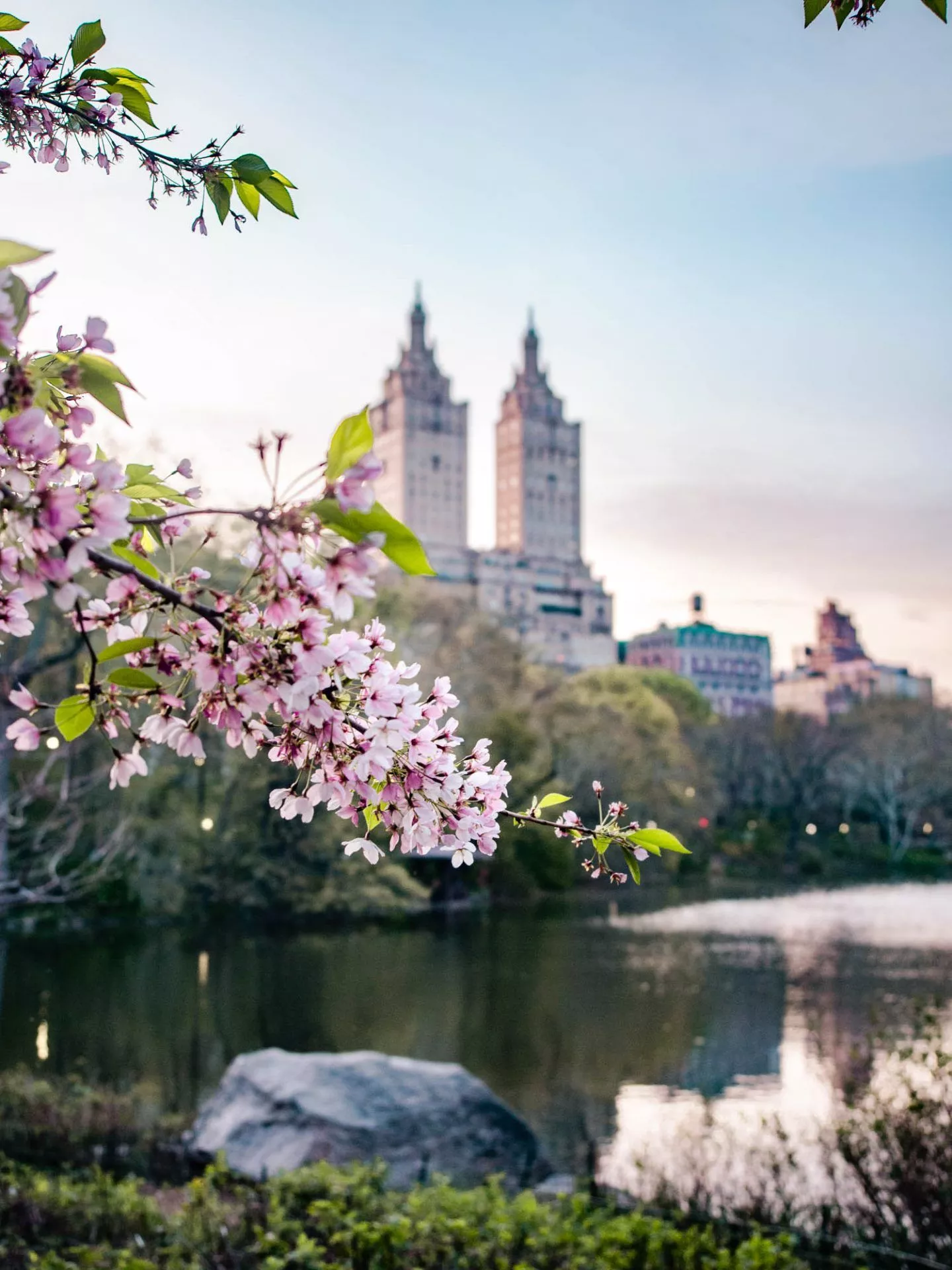 Central Park Spring Time Wallpapers - Wallpaper Cave