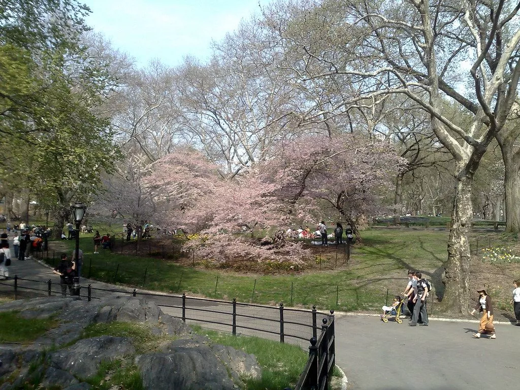Central Park Spring Time Wallpapers - Wallpaper Cave