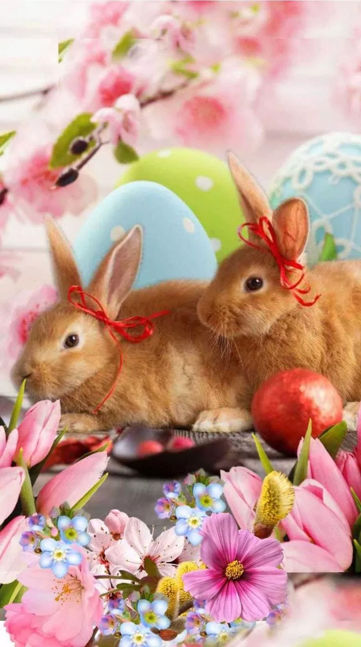 Easter Bows Wallpapers - Wallpaper Cave