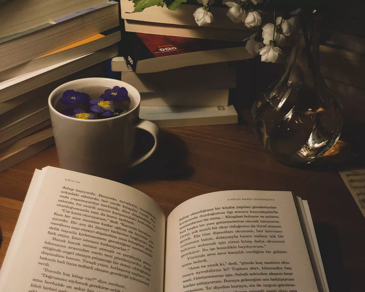 Book Aesthetic Desktop Wallpapers - Wallpaper Cave