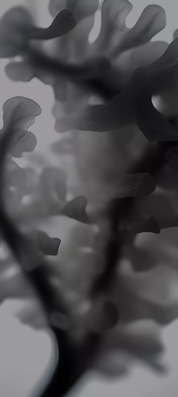 Nothing Mobile Wallpapers - Wallpaper Cave