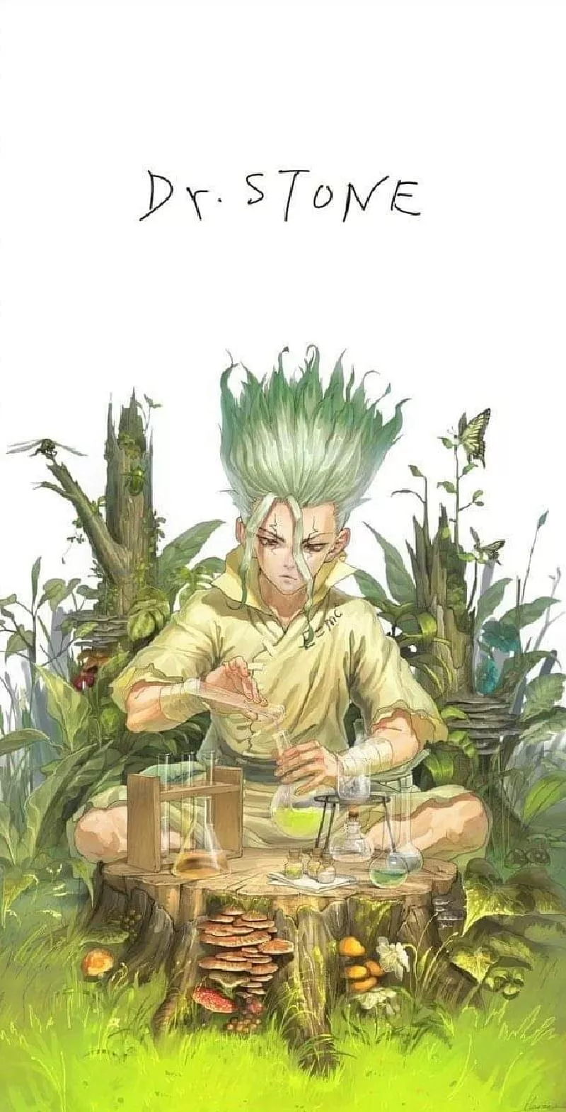 Dr. Stone Mobile Wallpapers - Wallpaper Cave
