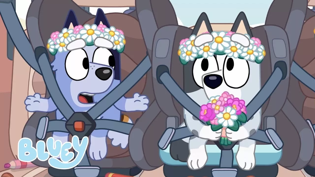 Socks Heeler Wallpapers - Wallpaper Cave